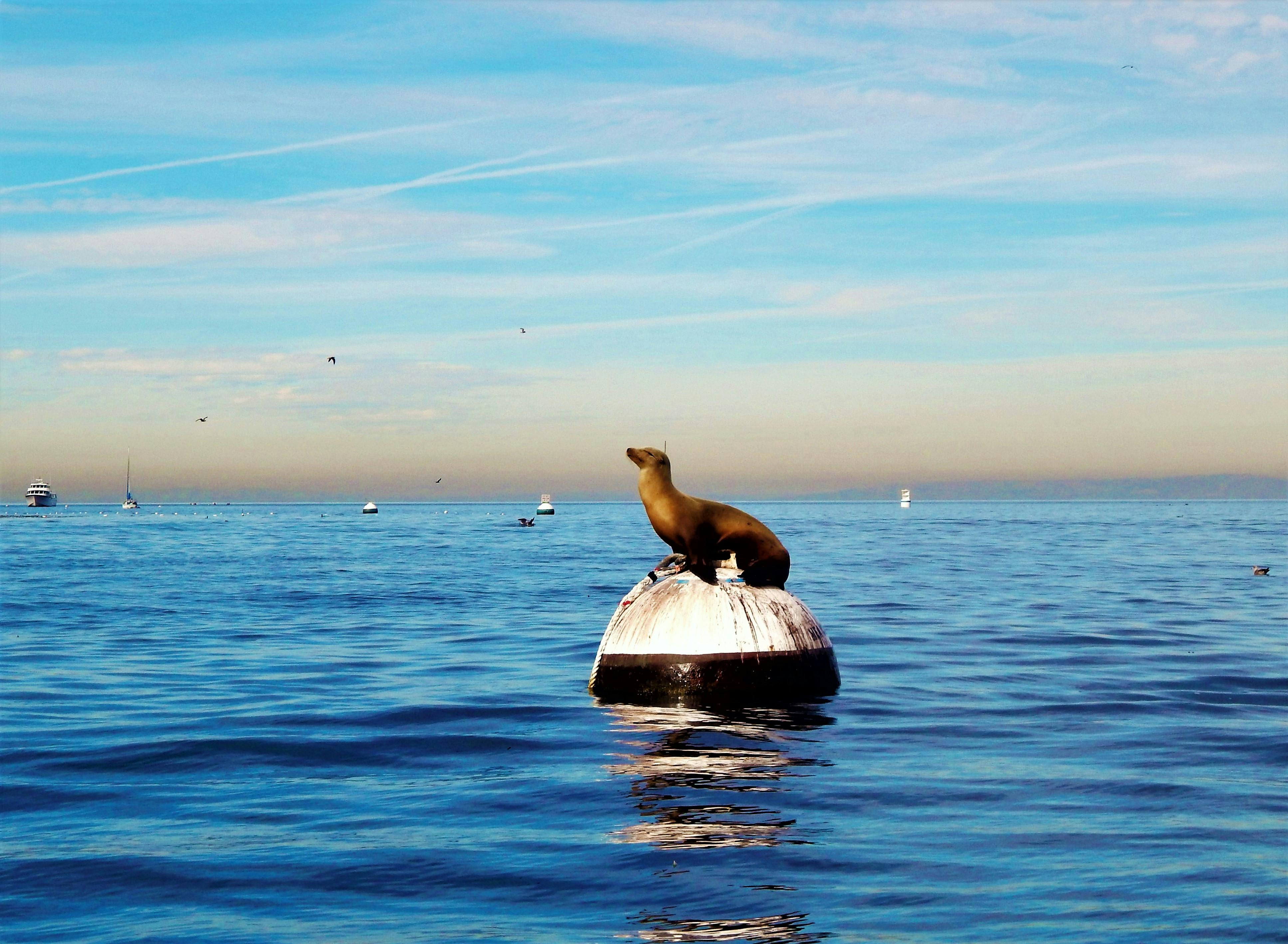 Robert Trull - Photography