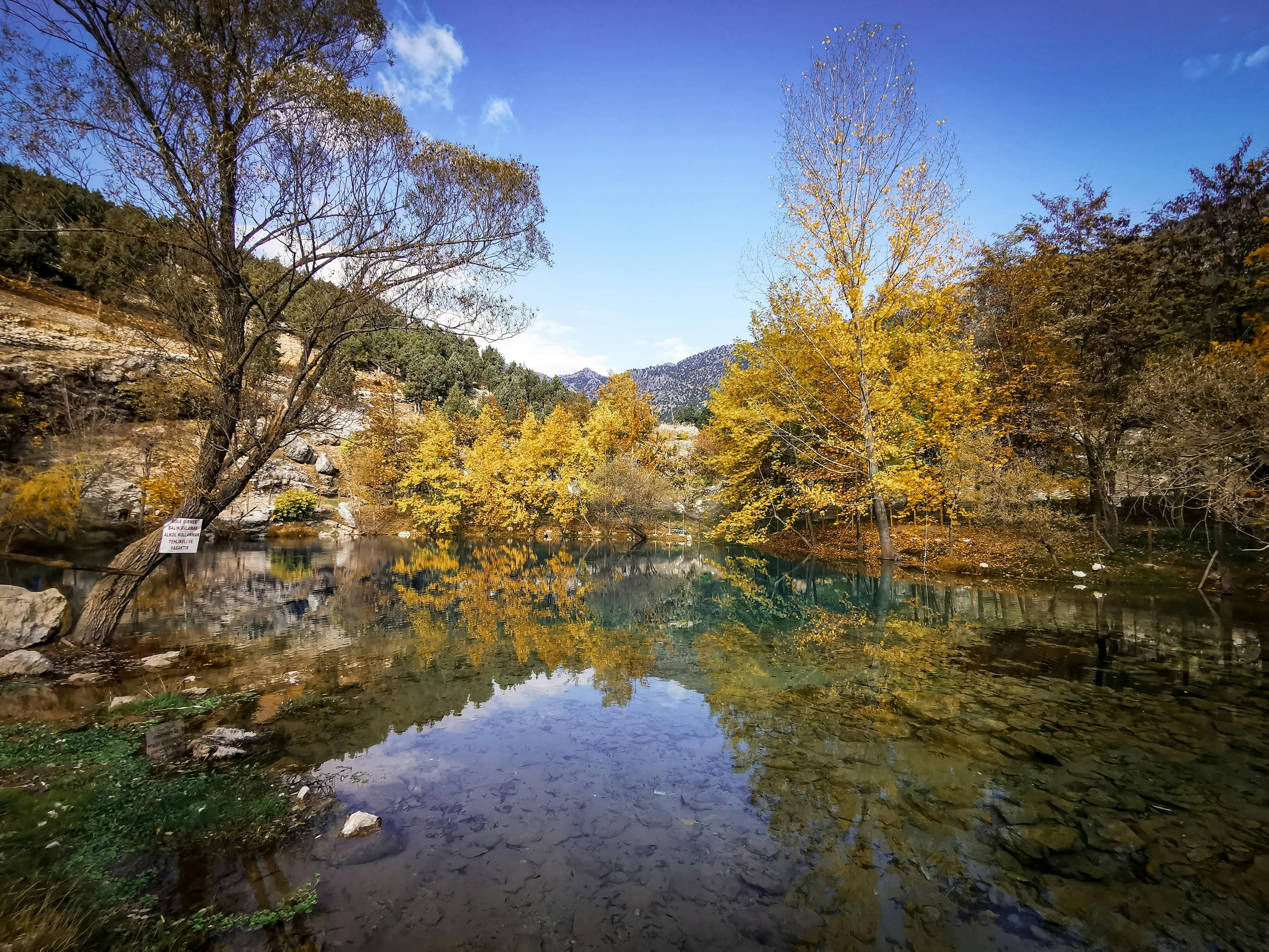 Lightbox.js: An all-in-one React lightbox