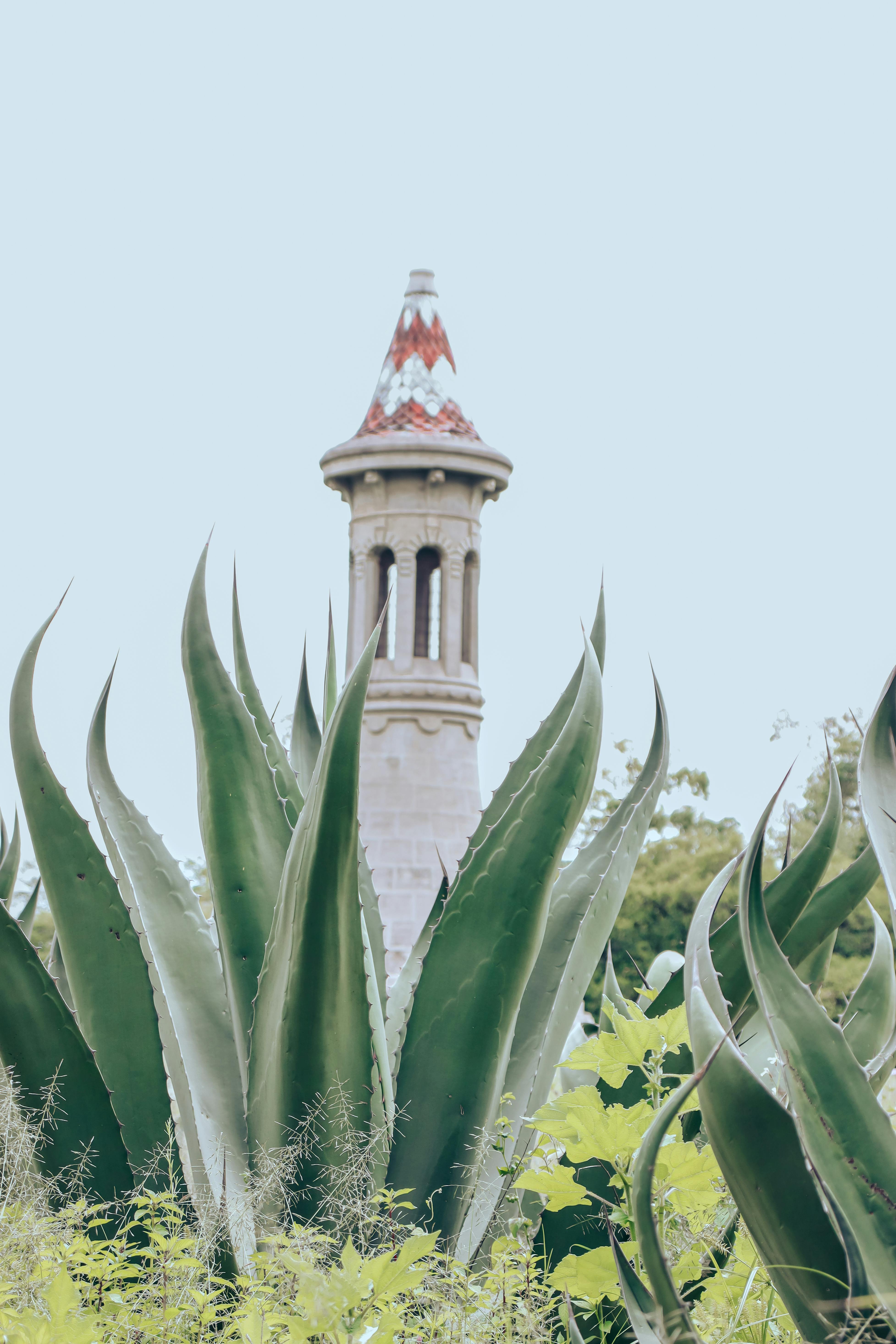 Tower behind Plants · Free Stock Photo
