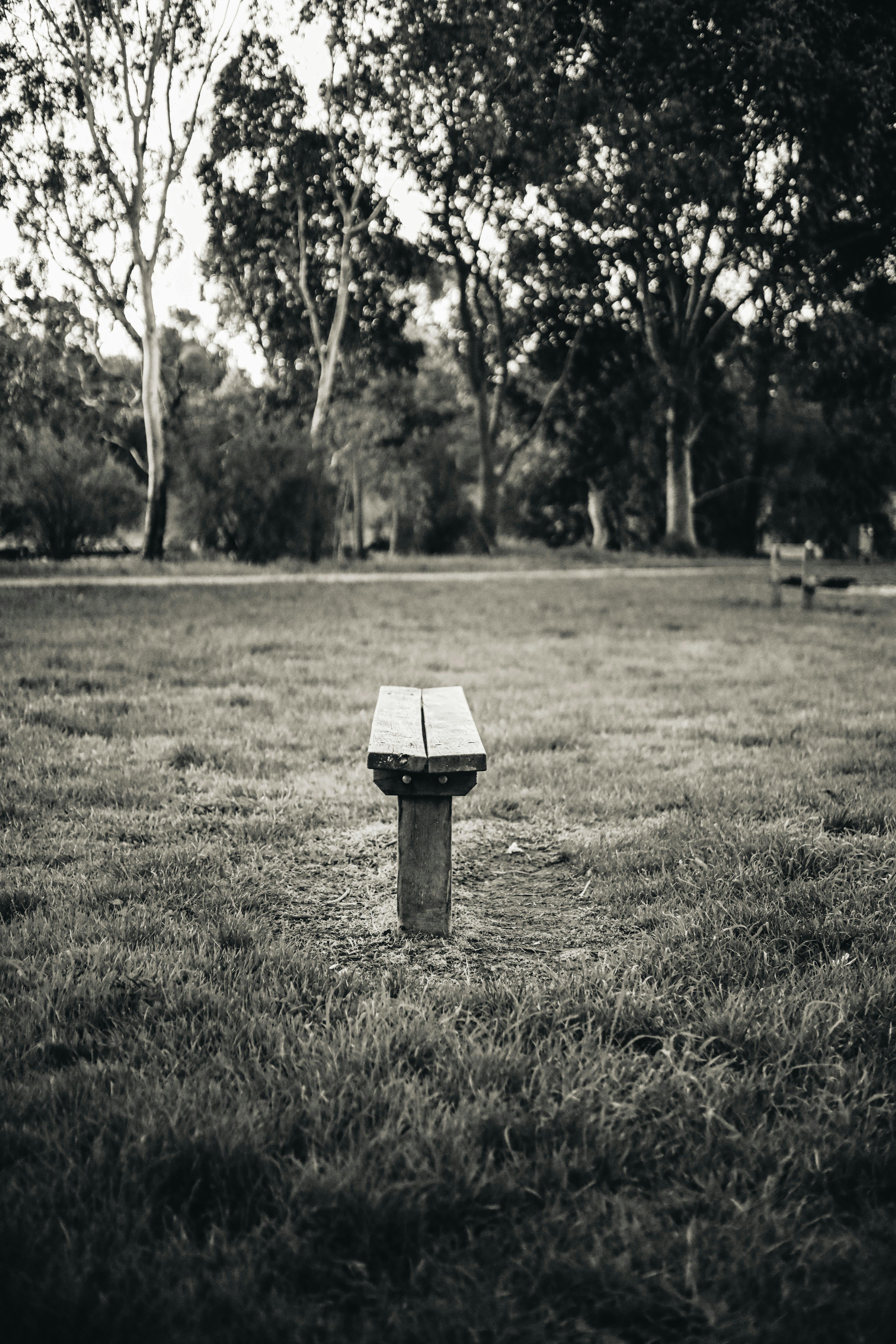 Wooden Bench on Grass Field · Free Stock Photo