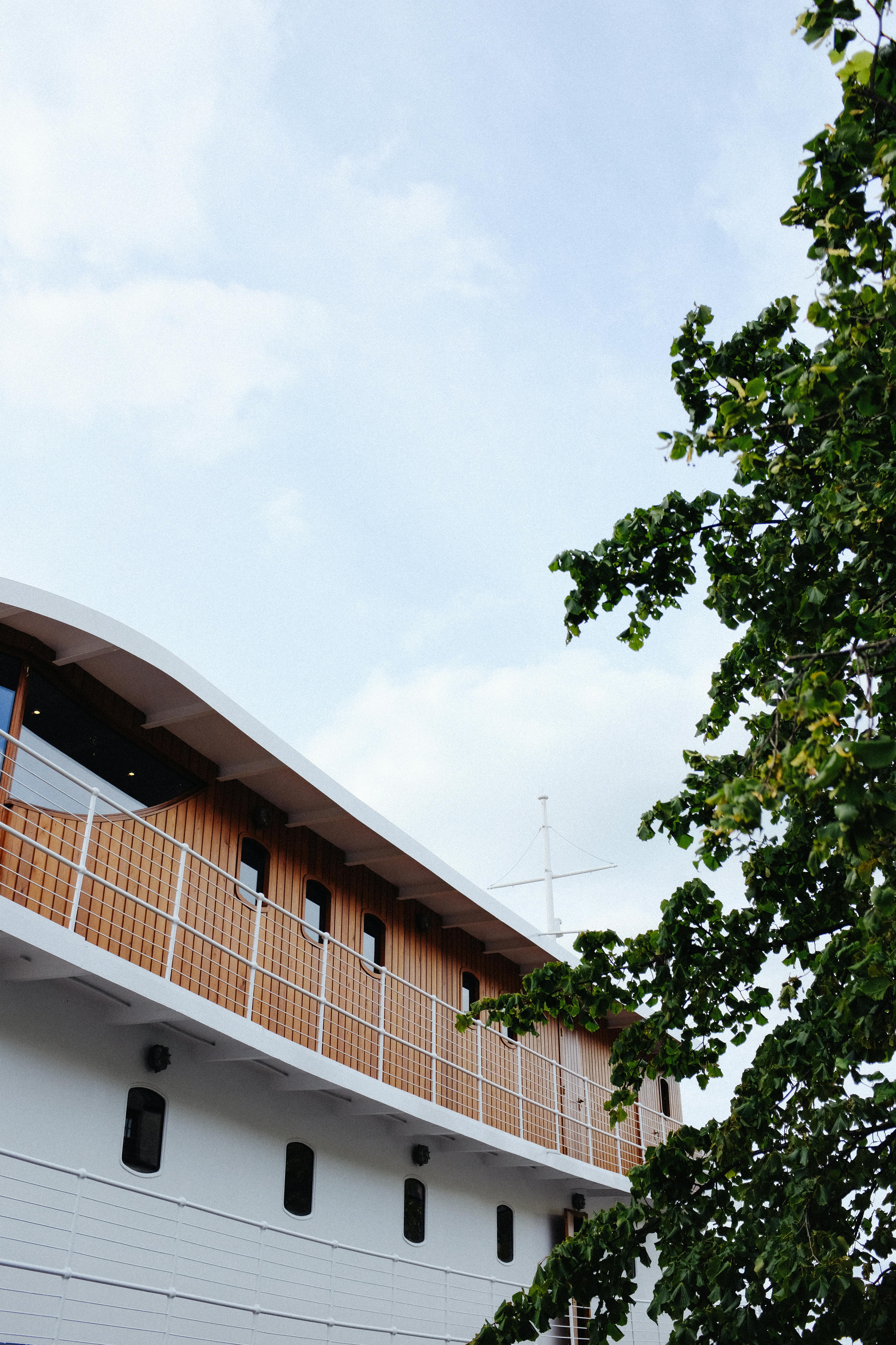 Tree near Building · Free Stock Photo