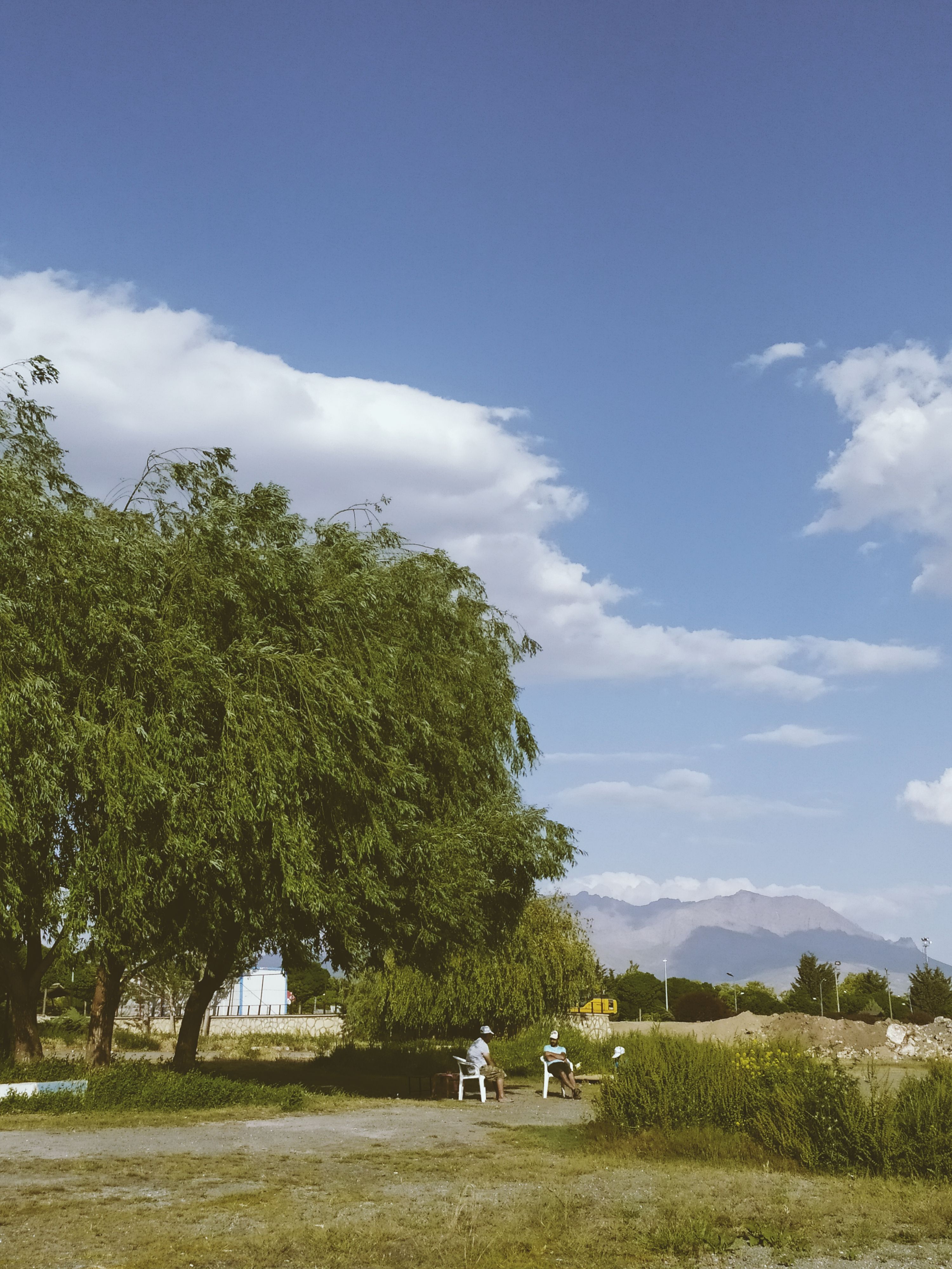 People Sitting Near the Trees · Free Stock Photo