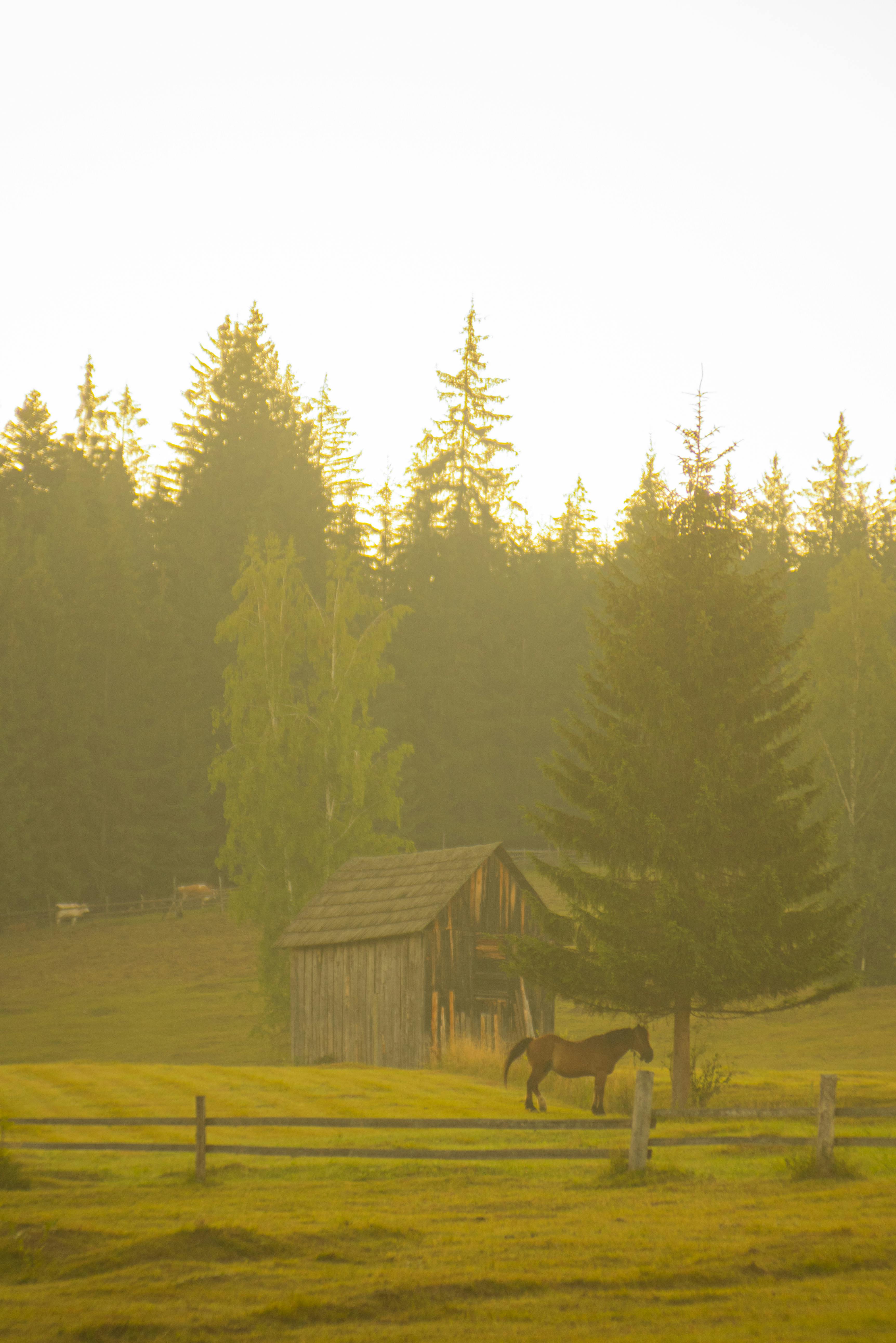 Wooden Barn Beside Brown Grass Field · Free Stock Photo