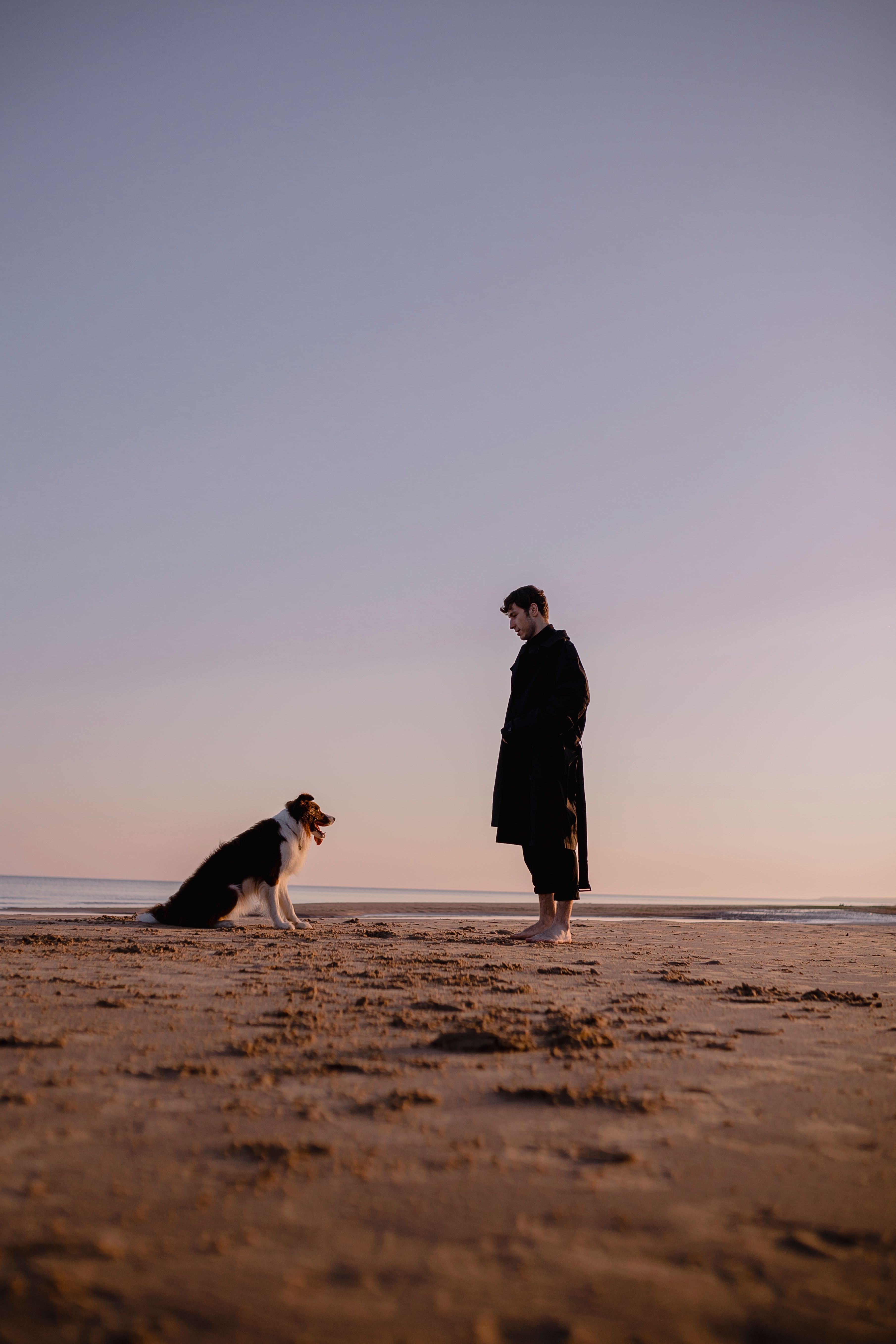 Man Standing on the Beach and Facing his Dog · Free Stock Photo