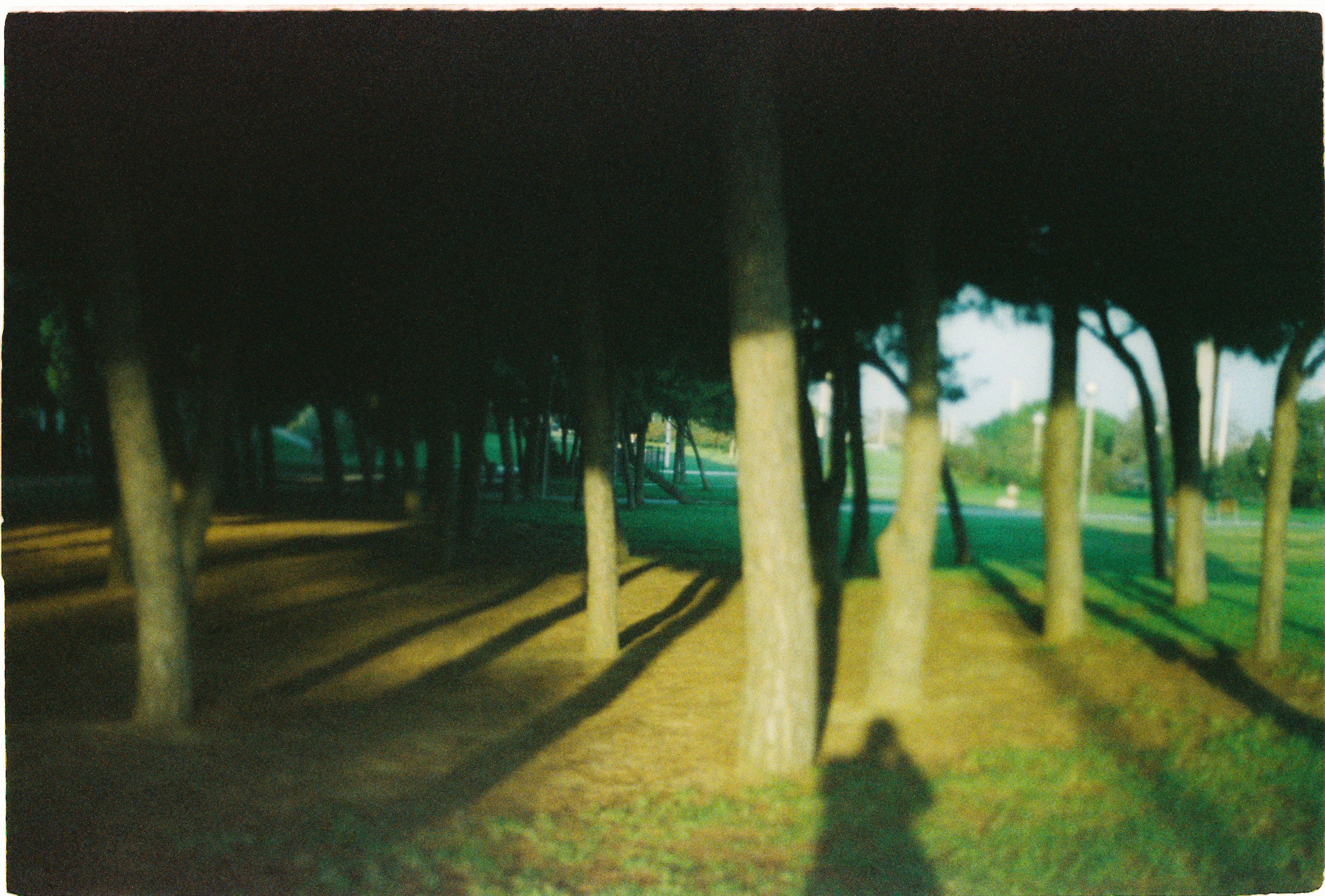 Min Nguyen - Photography
