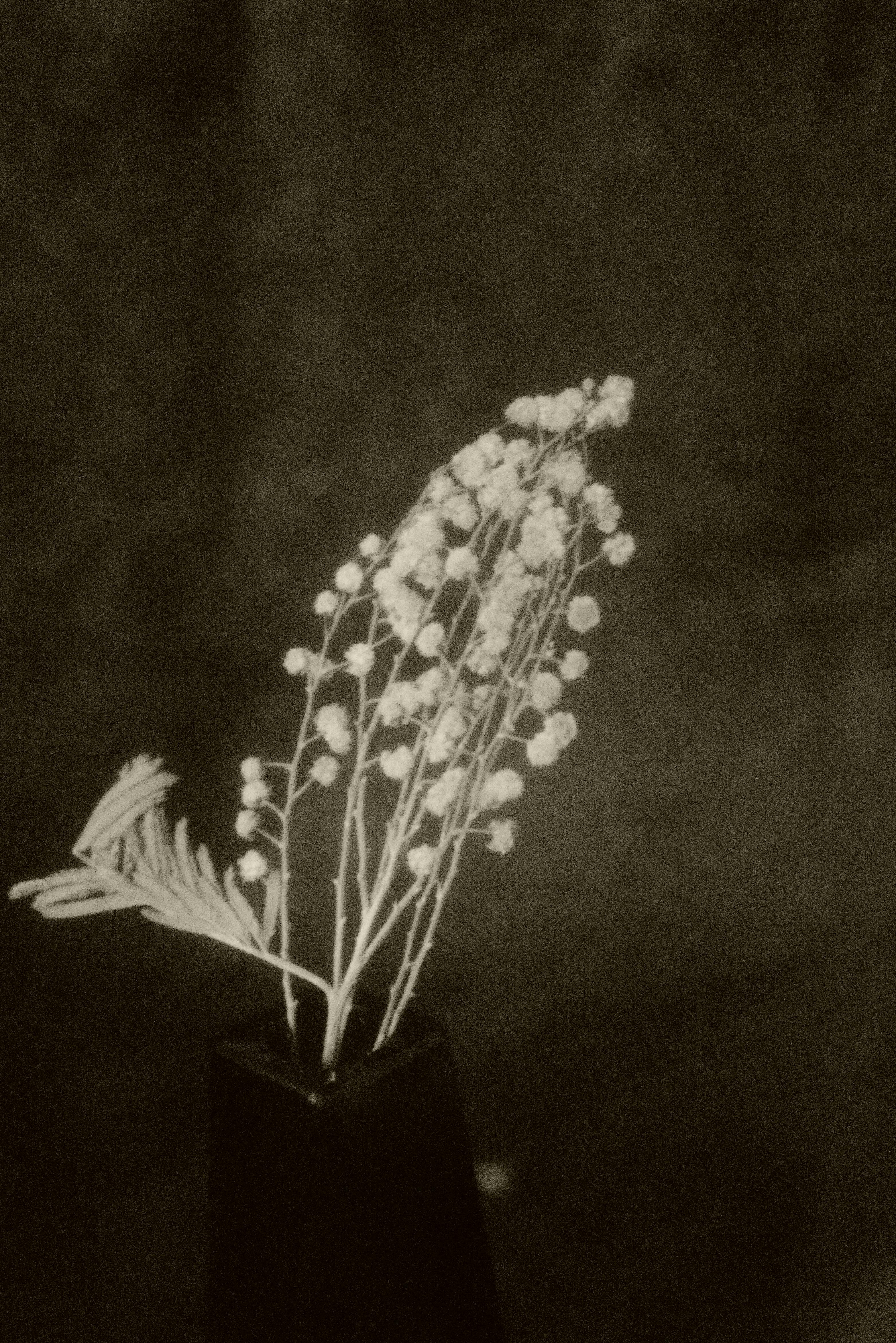 Vecchia Sepia Photos, Download The BEST Free Vecchia Sepia Stock Photos ...