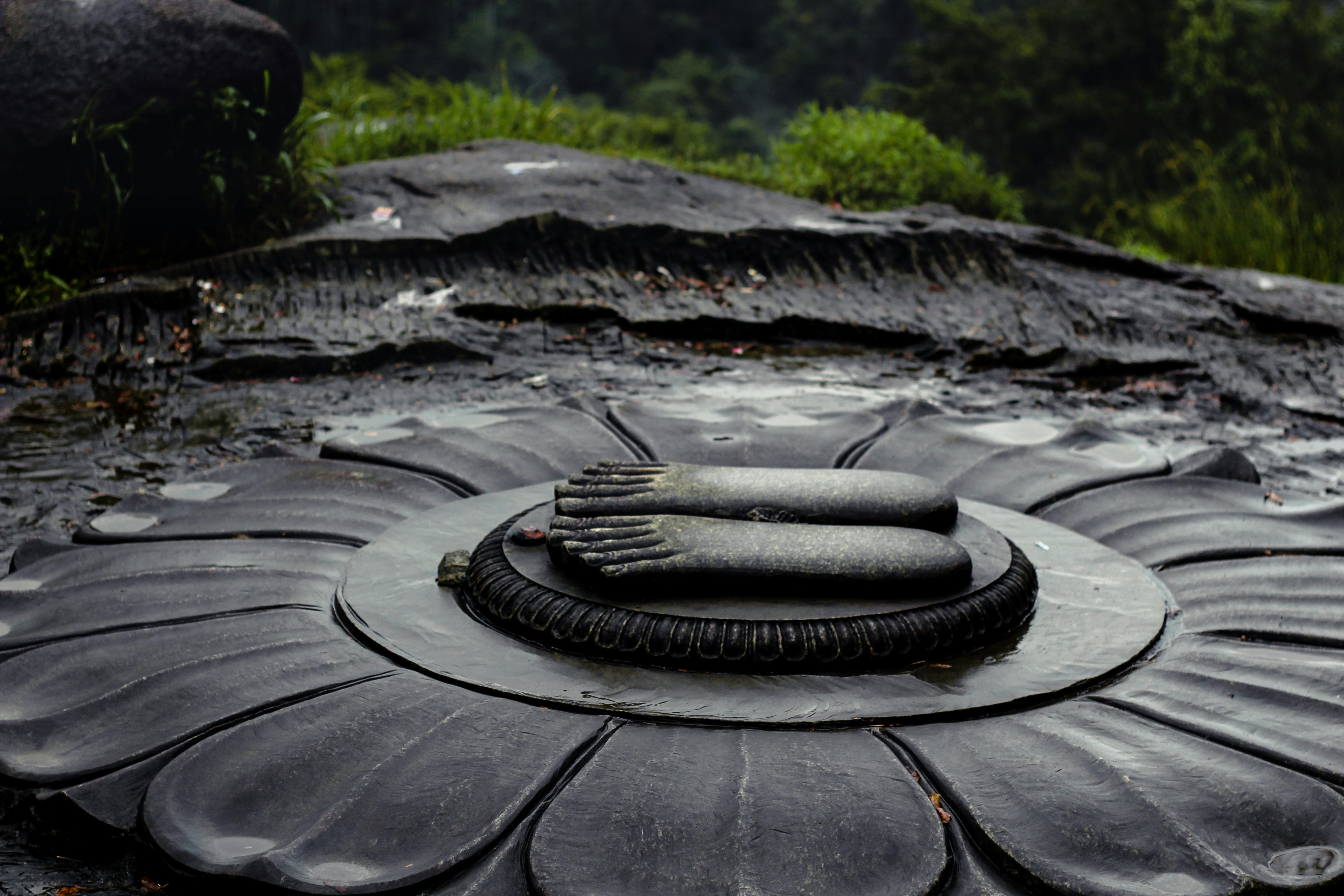 Close-up of a Stone in Sahasralinga, India · Free Stock Photo