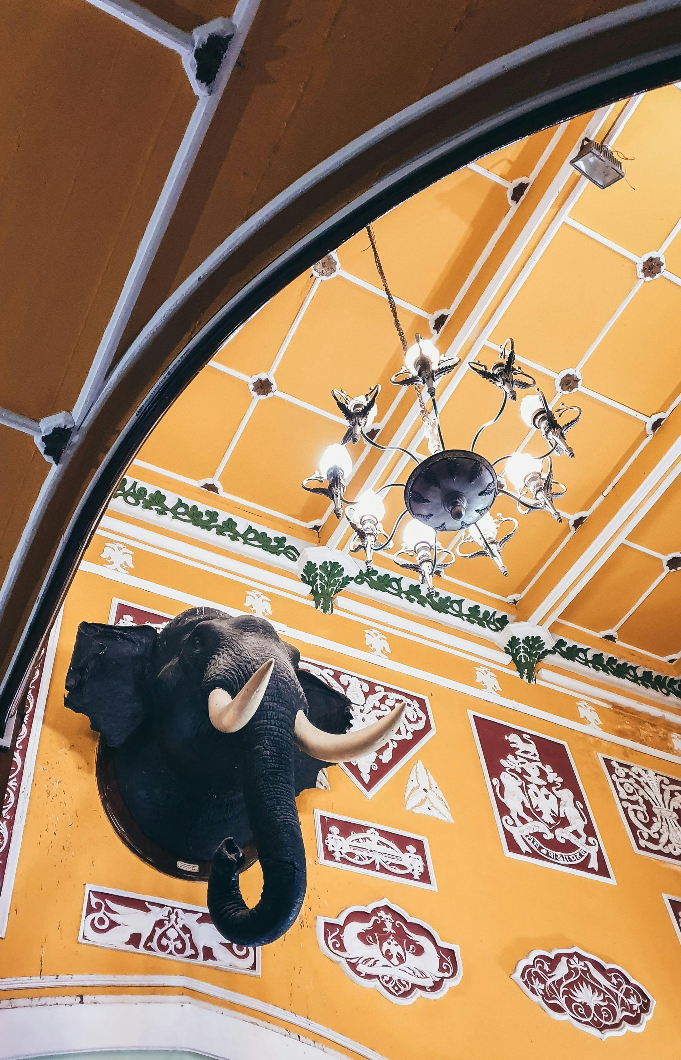 PHP Elephant Sticker · Free Stock Photo