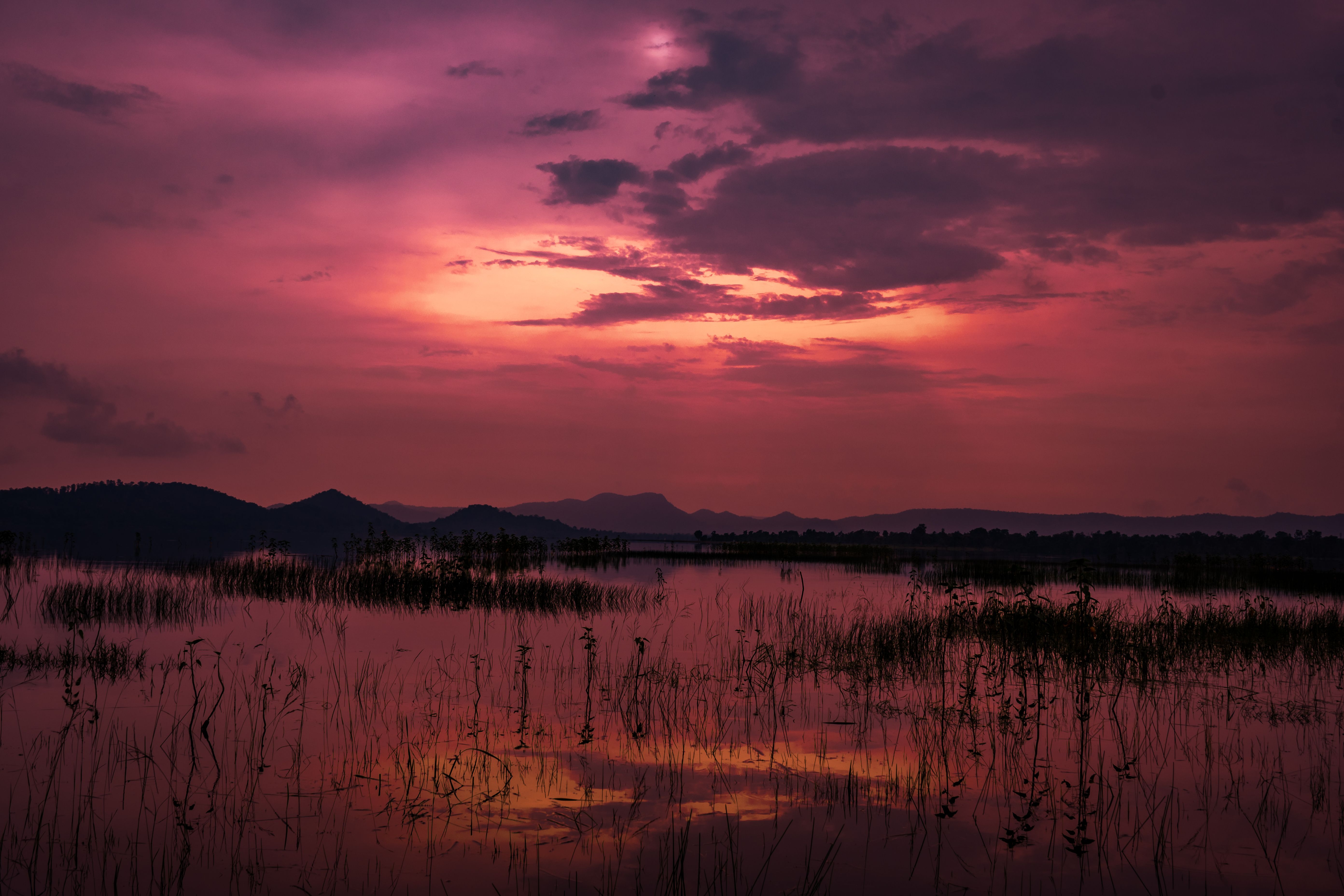 Wheathers Photos, Download Free Wheathers Stock Photos & HD Images