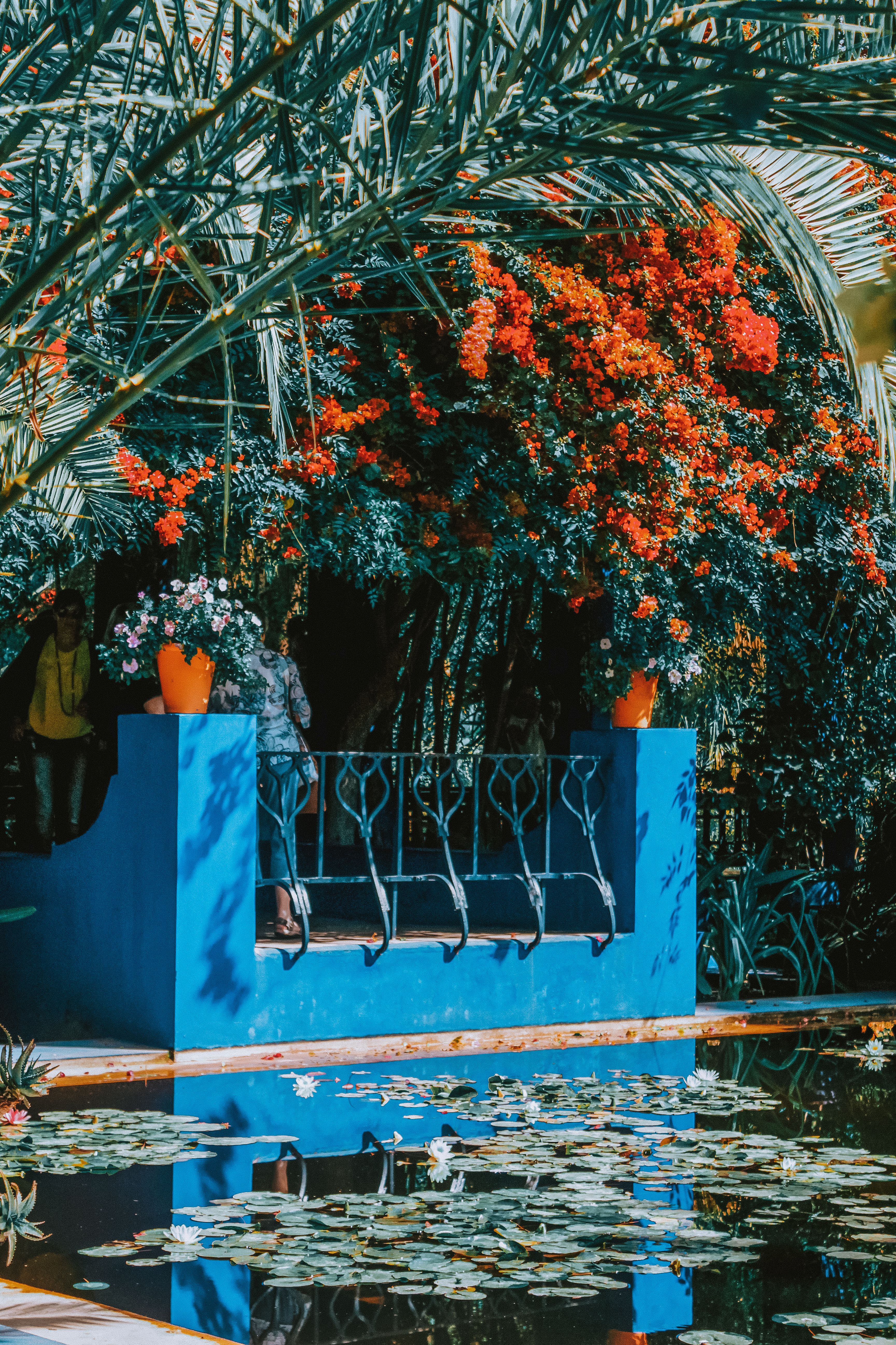 Stream Flowers Photos, Download The BEST Free Stream Flowers Stock ...
