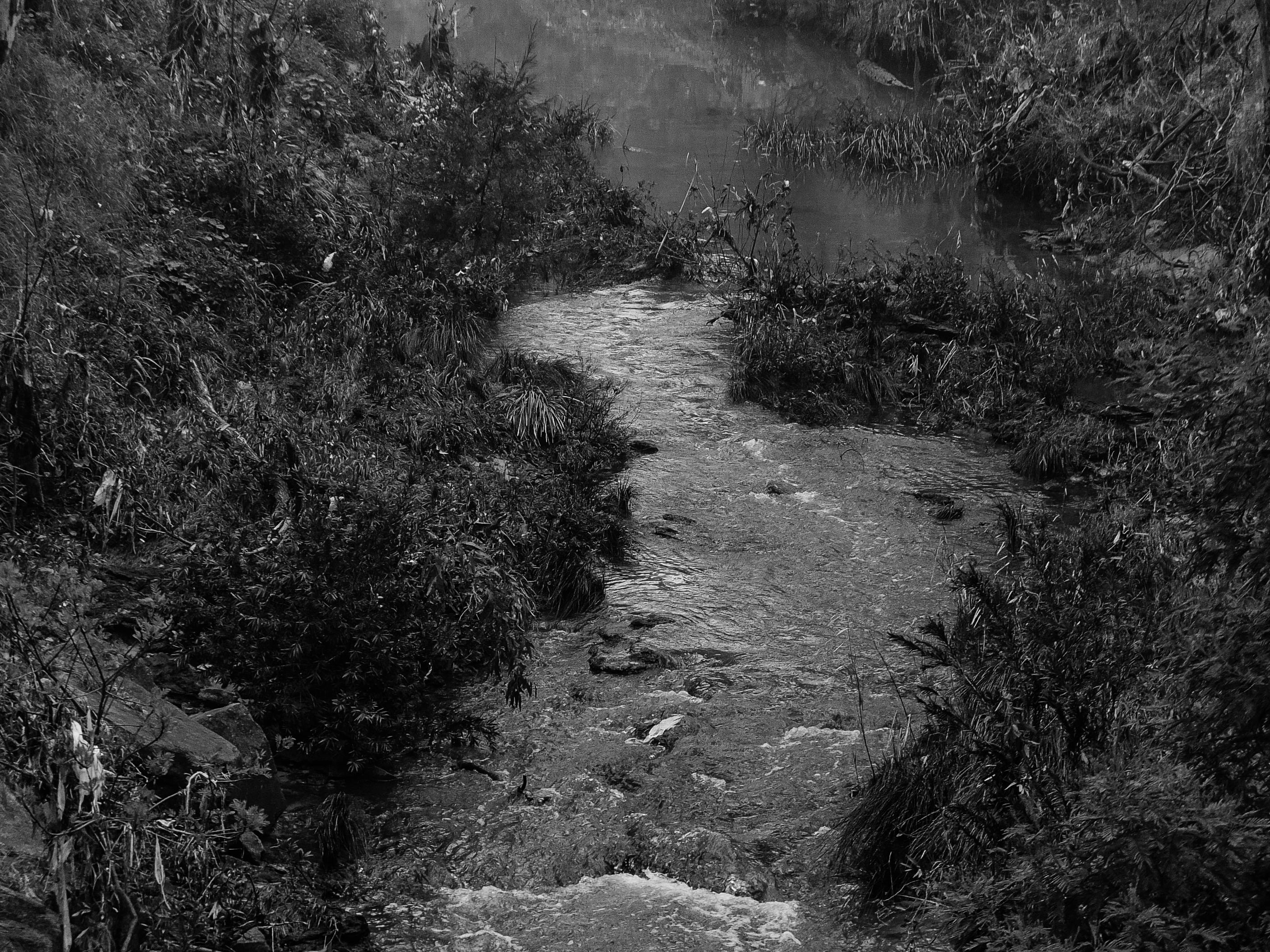 Grayscale Photo of a Stream · Free Stock Photo