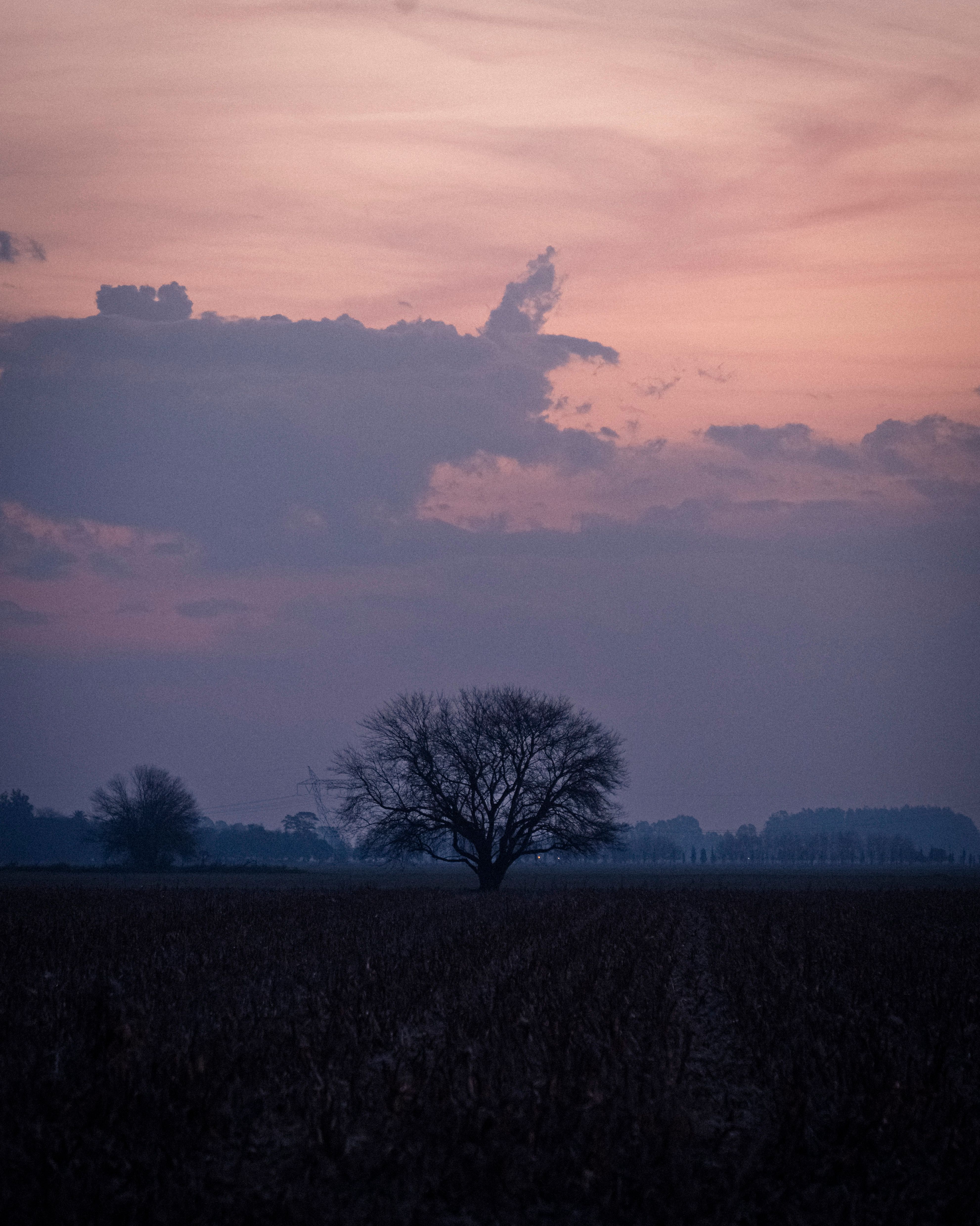 Grayscale Photo of a Sky · Free Stock Photo