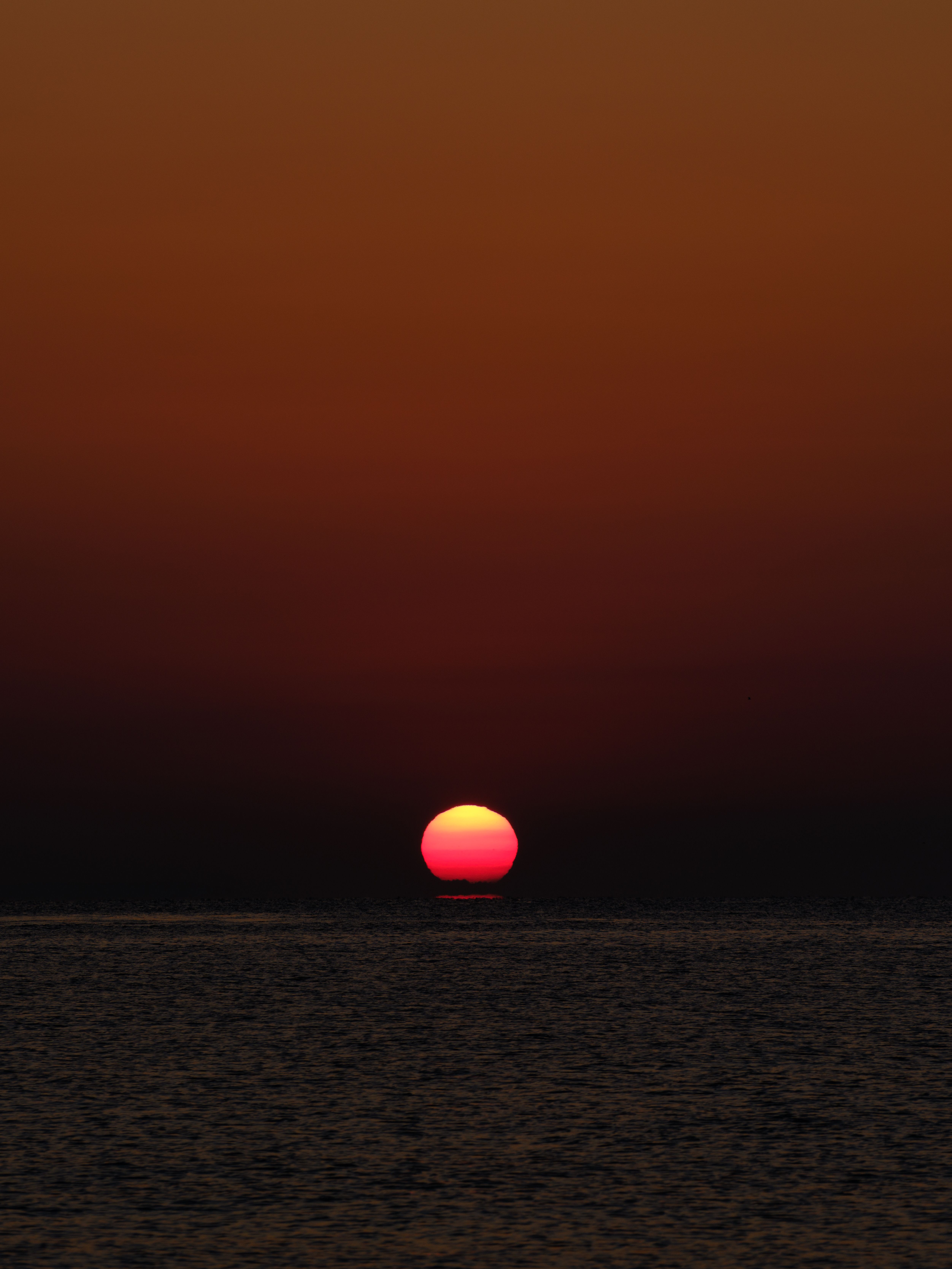 Sunset Over the Sea · Free Stock Photo