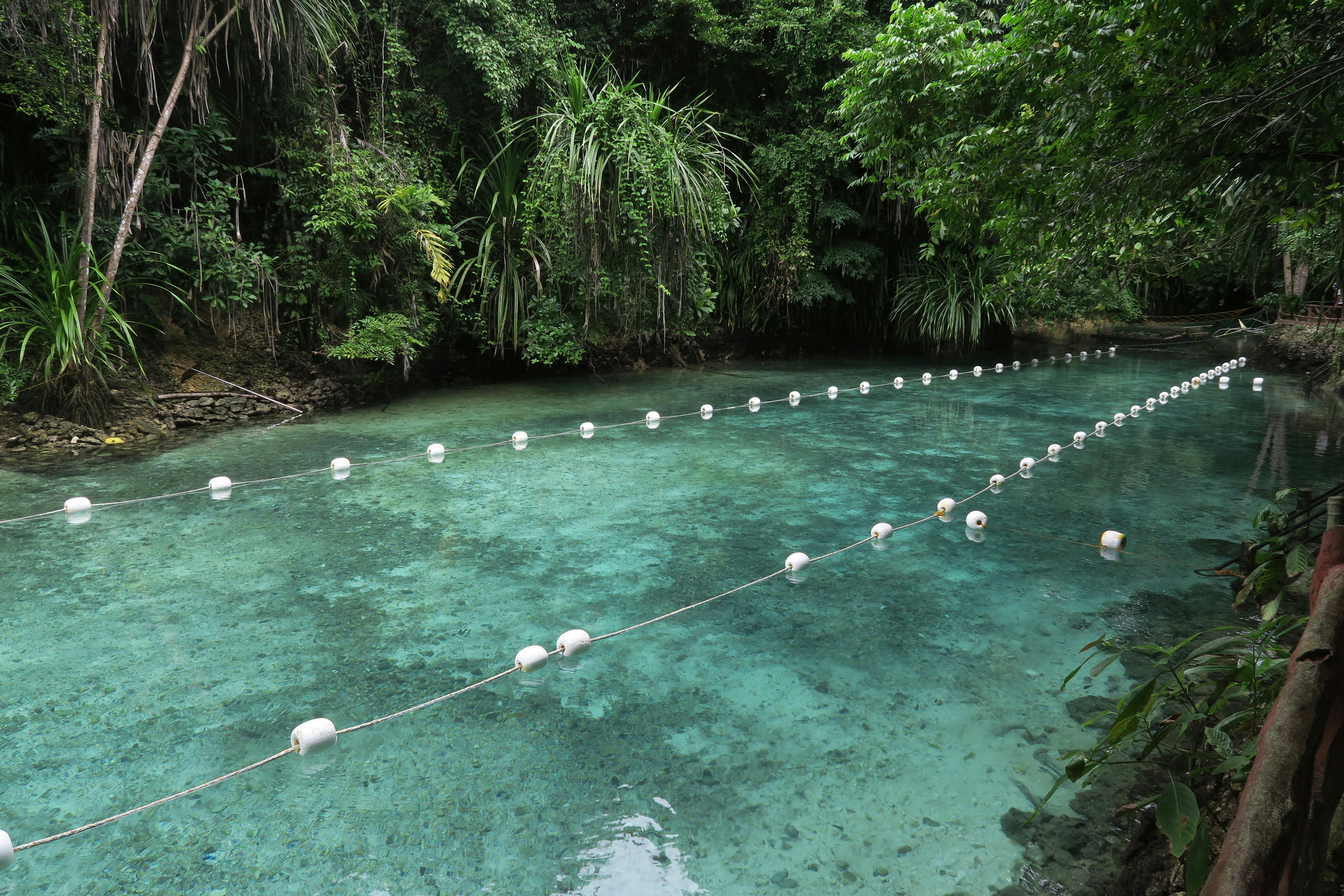 Photo of a Swimming Pool in a Forest · Free Stock Photo