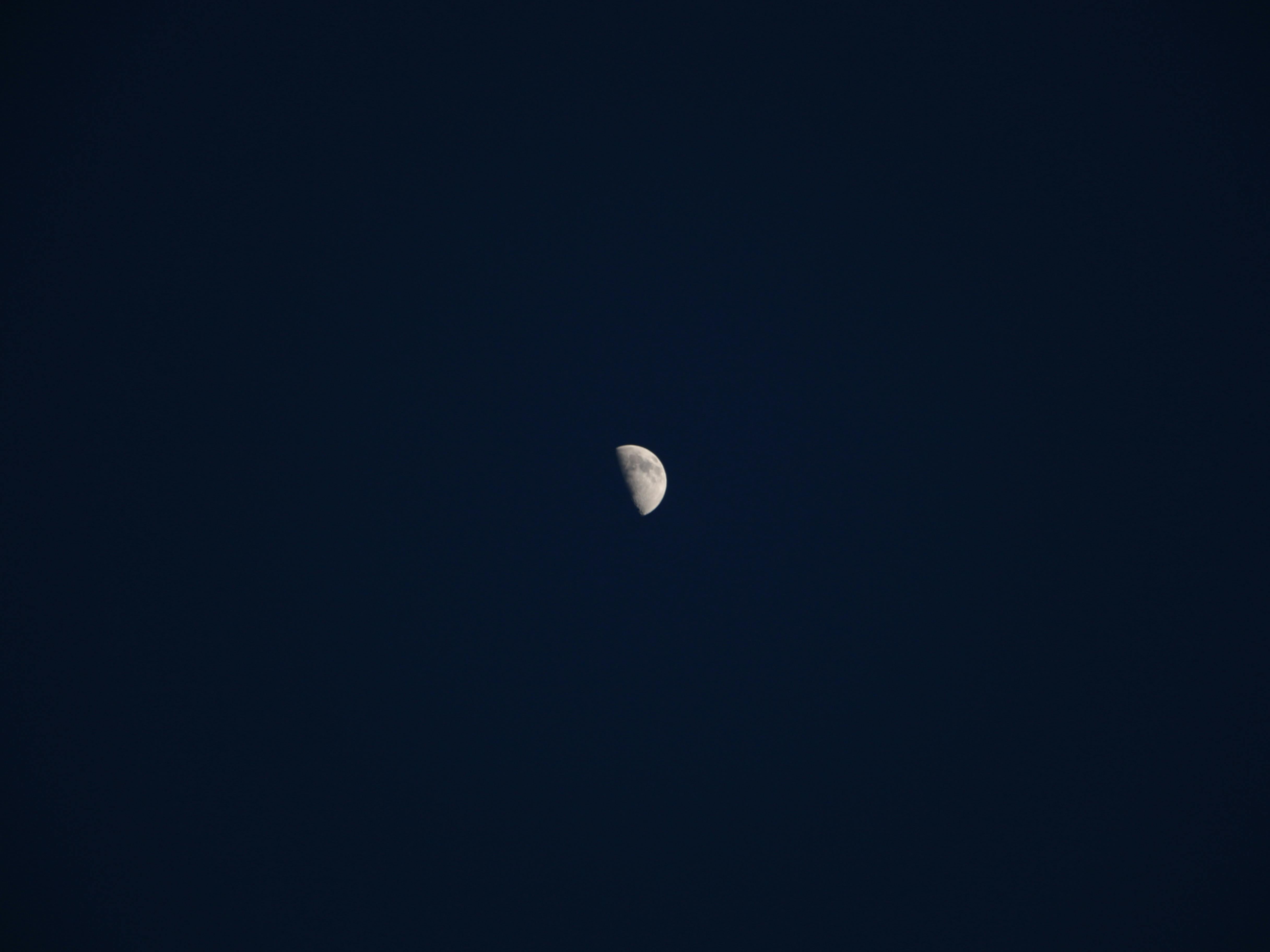 A Half Moon in the Night Sky · Free Stock Photo