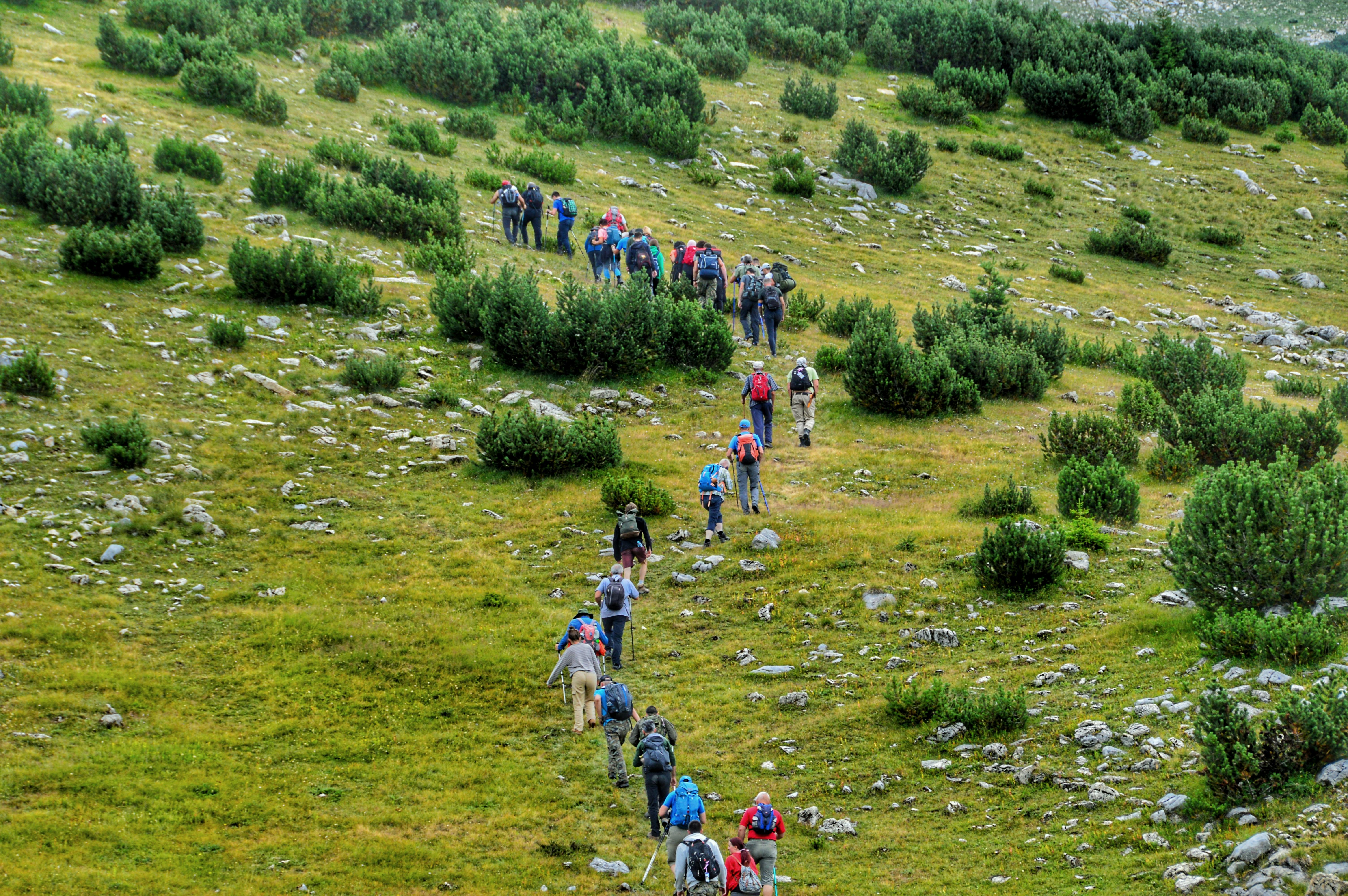 People Walking on Green Grass Field · Free Stock Photo
