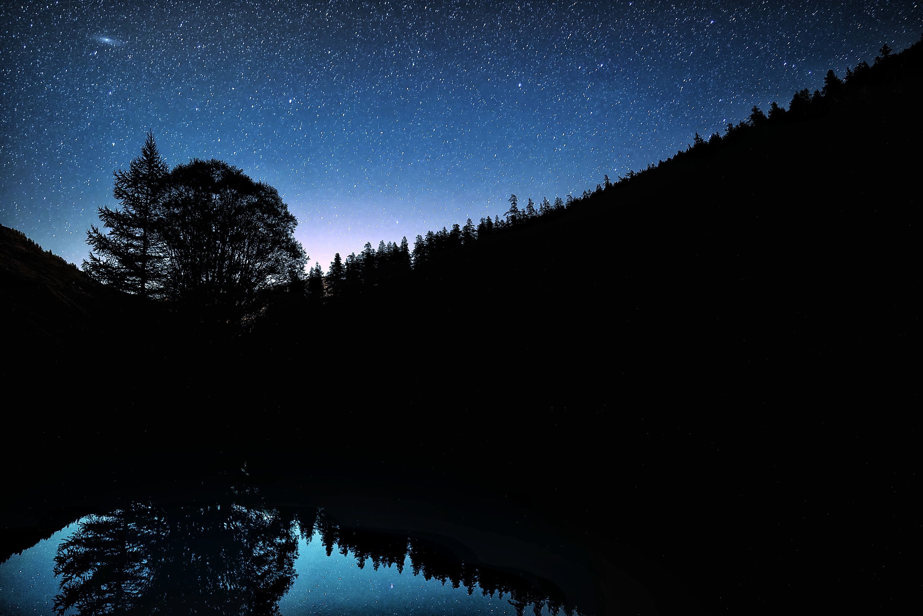Silhouette of Trees during Night Time · Free Stock Photo