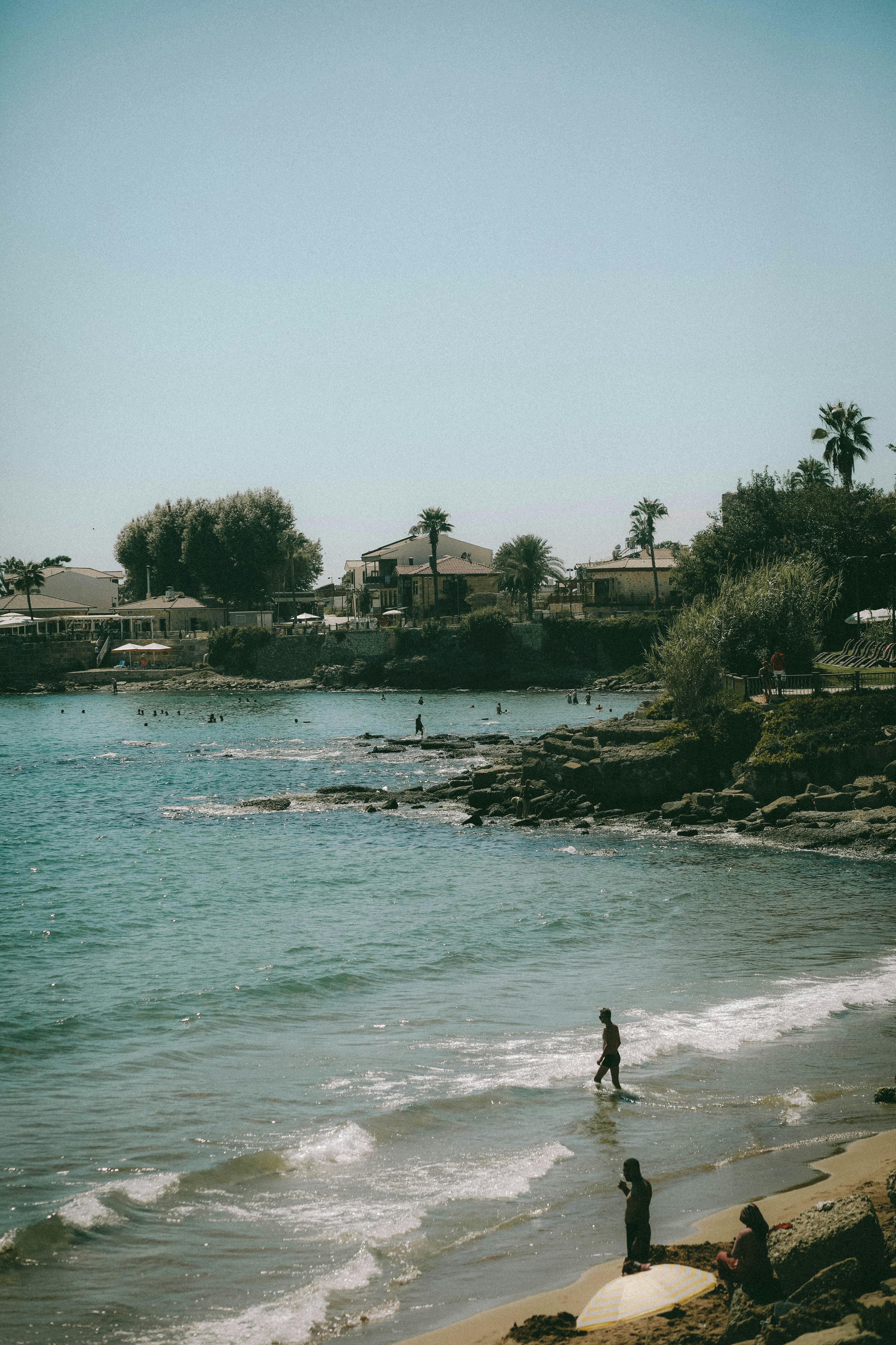 Beach Side Trees Photos, Download The BEST Free Beach Side Trees Stock ...