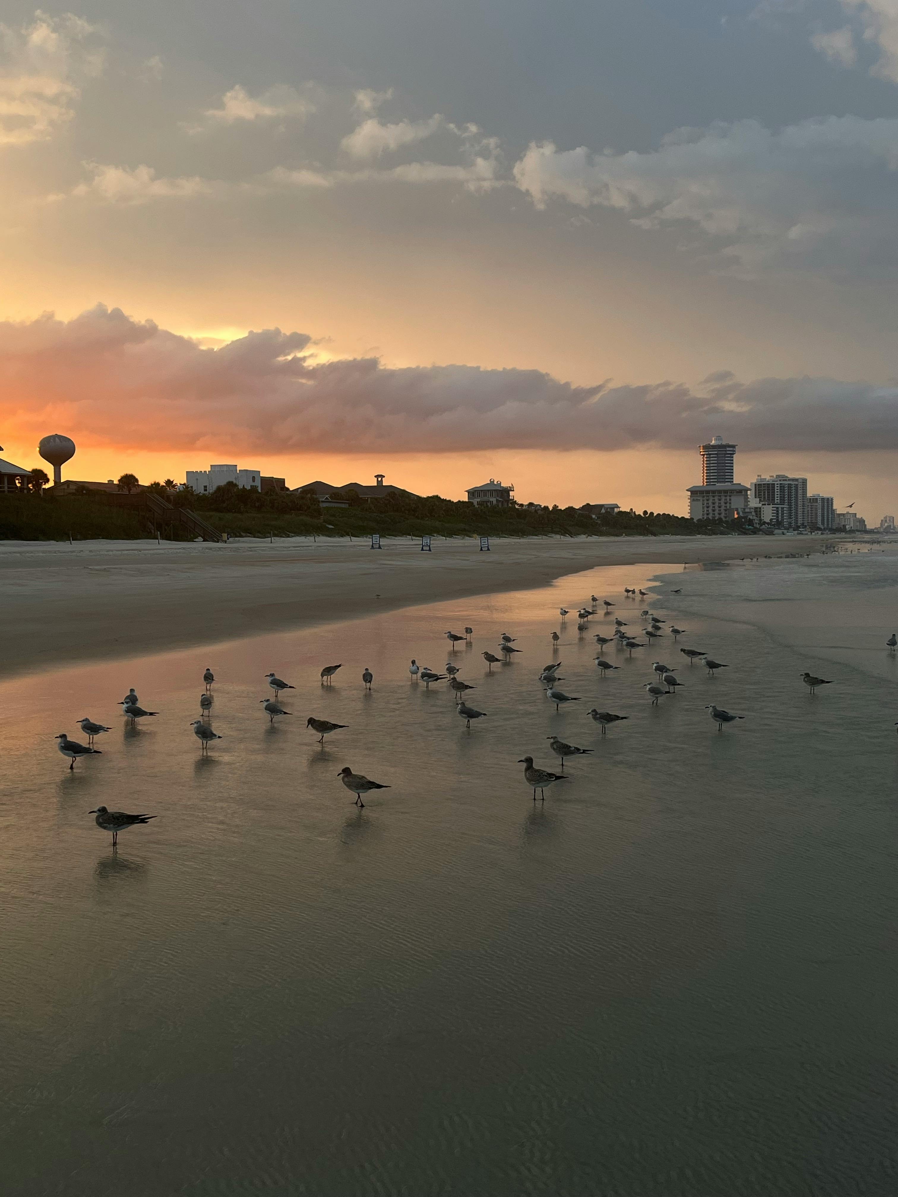 M Samir Kayal - Photography