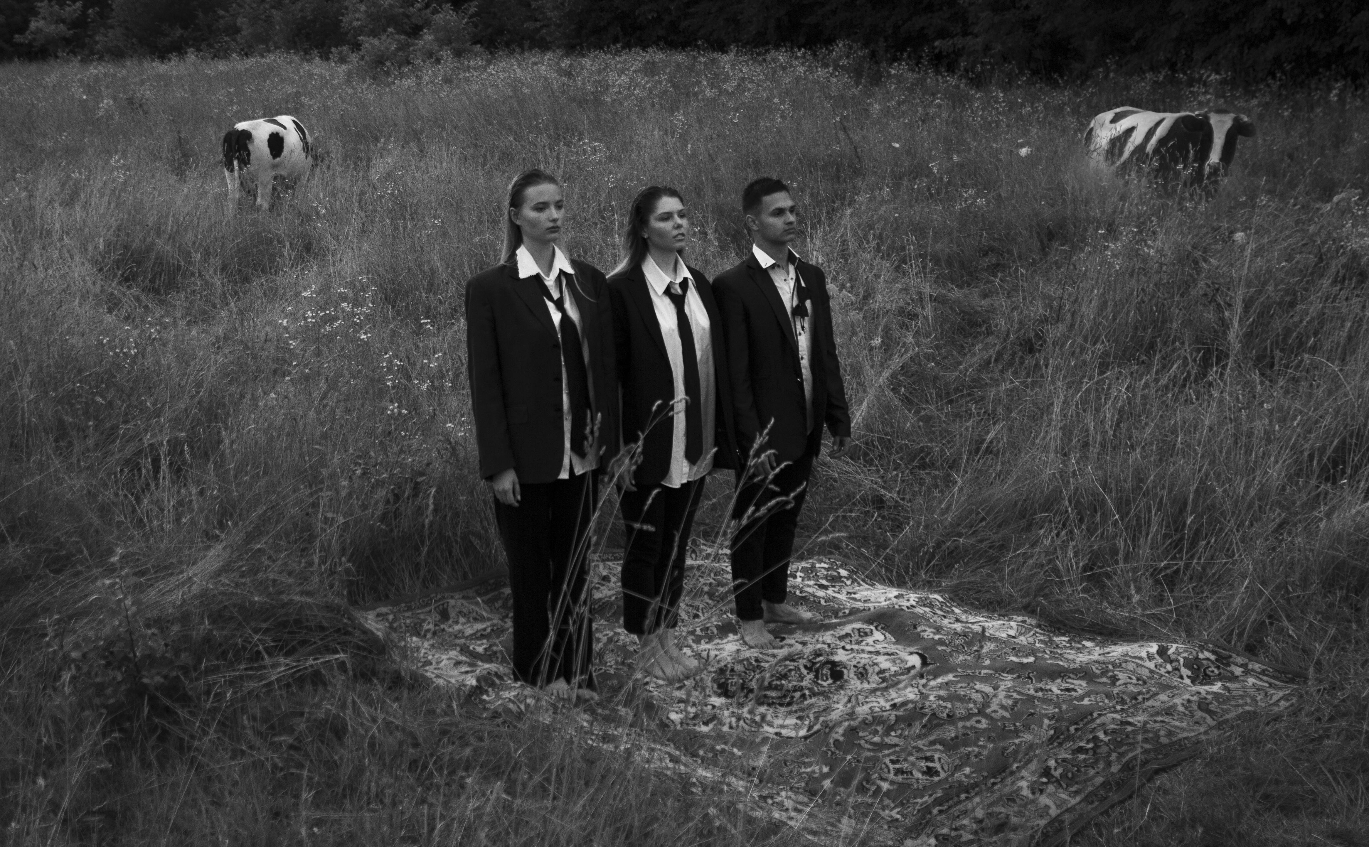 Cows Woman Photos, Download The BEST Free Cows Woman Stock Photos & HD ...