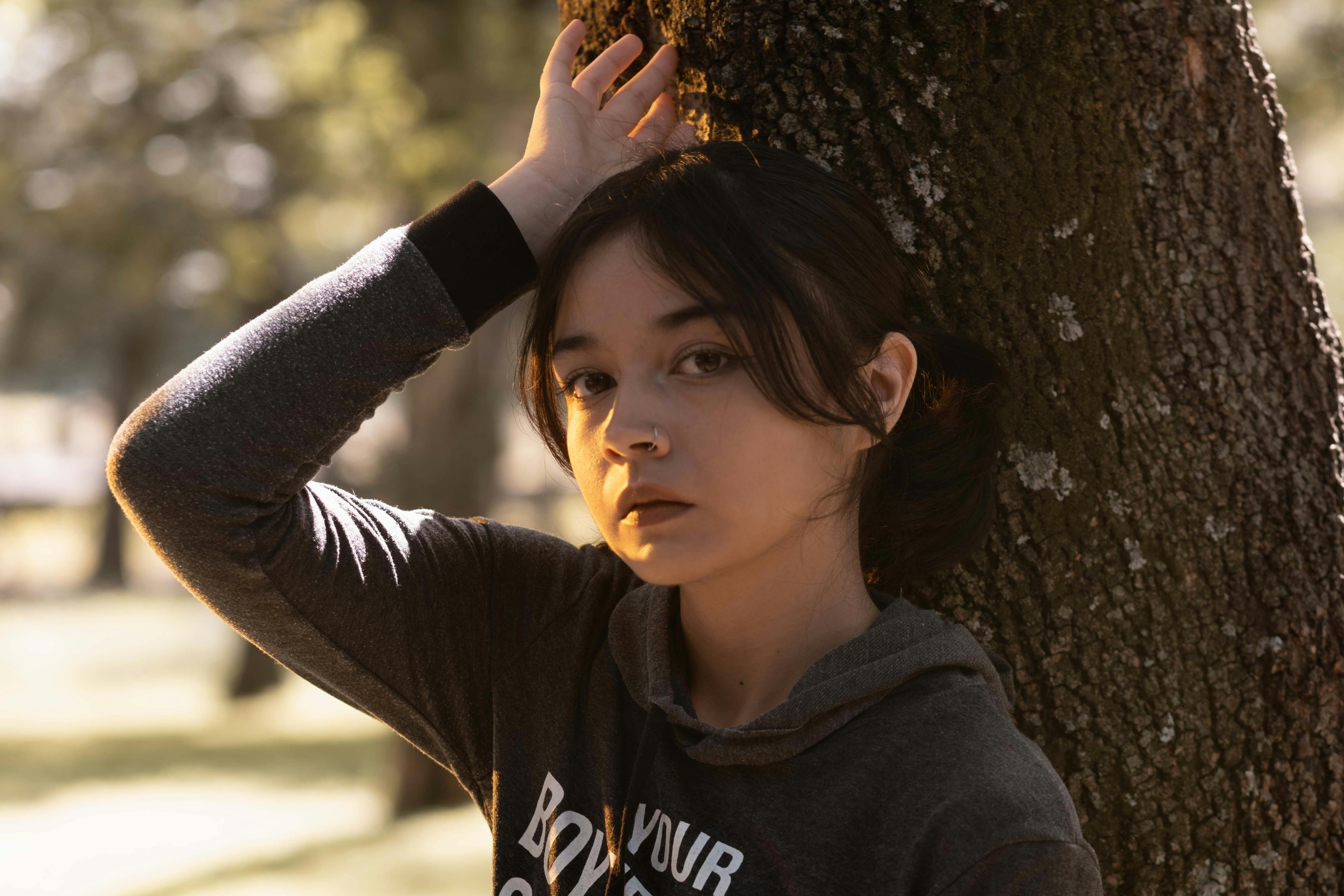 Bark Ring Photos, Download The BEST Free Bark Ring Stock Photos & HD Images