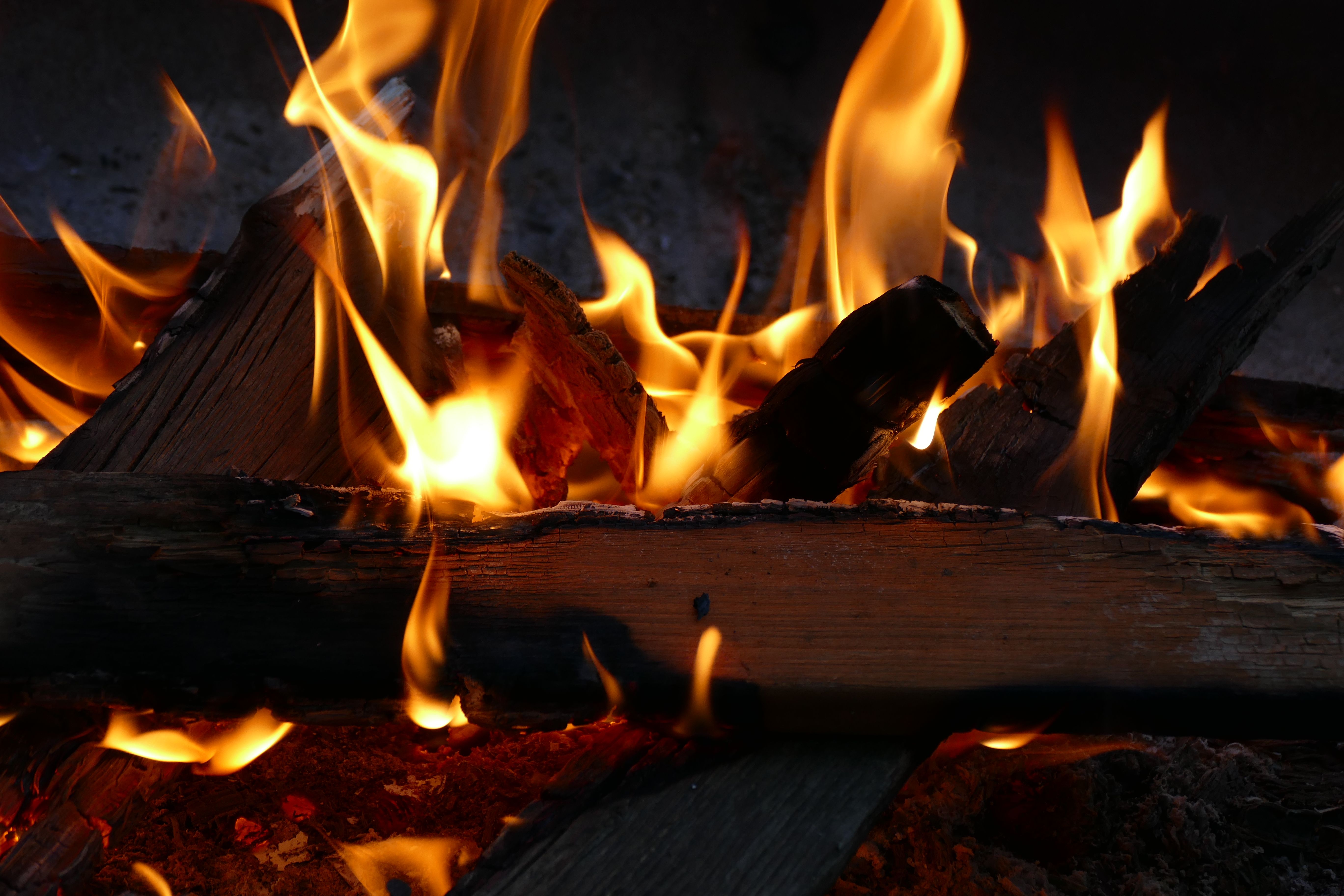 Bonfire on Green Grass Field · Free Stock Photo
