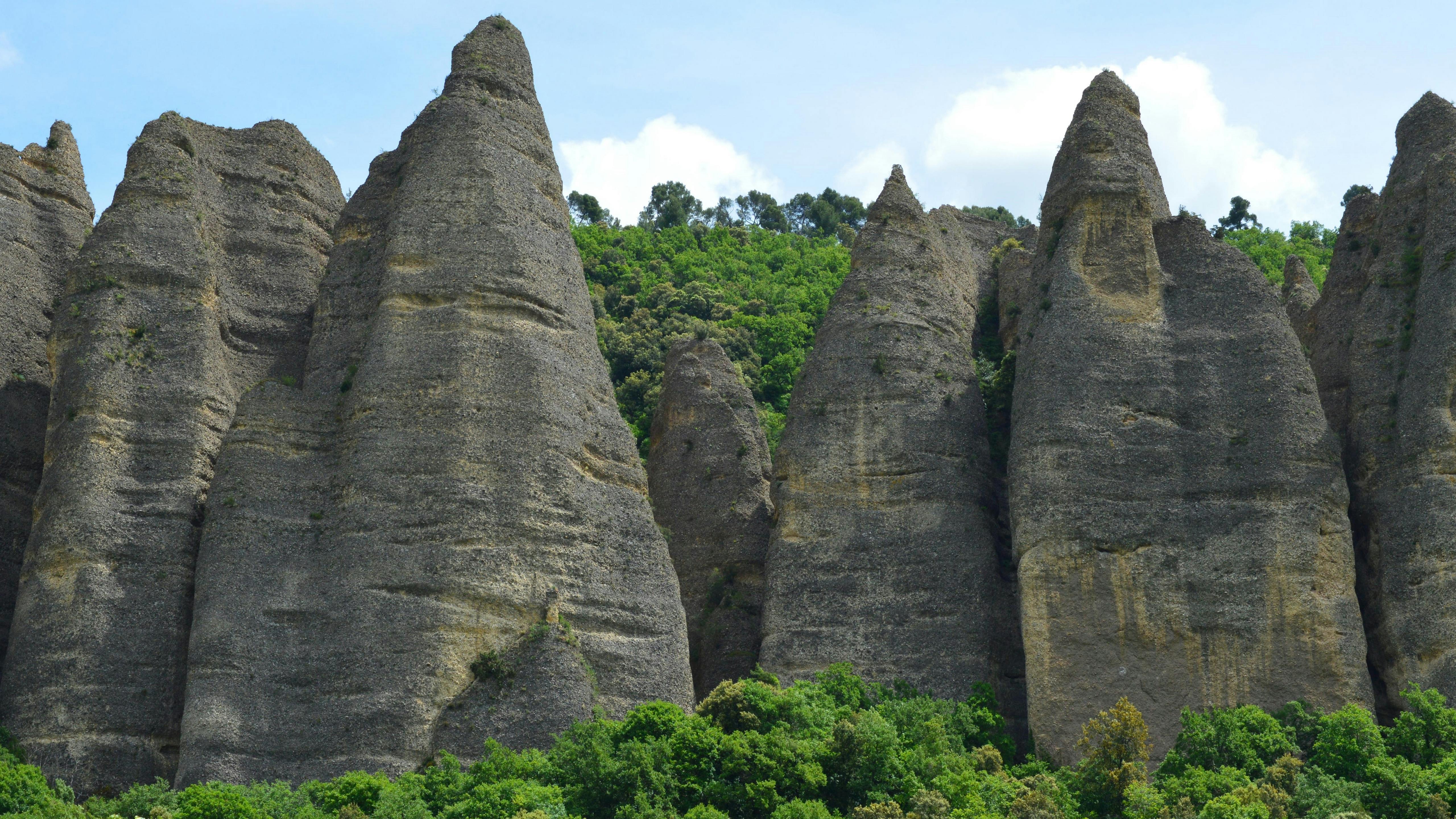 Cote Photos, Download The BEST Free Cote Stock Photos & HD Images