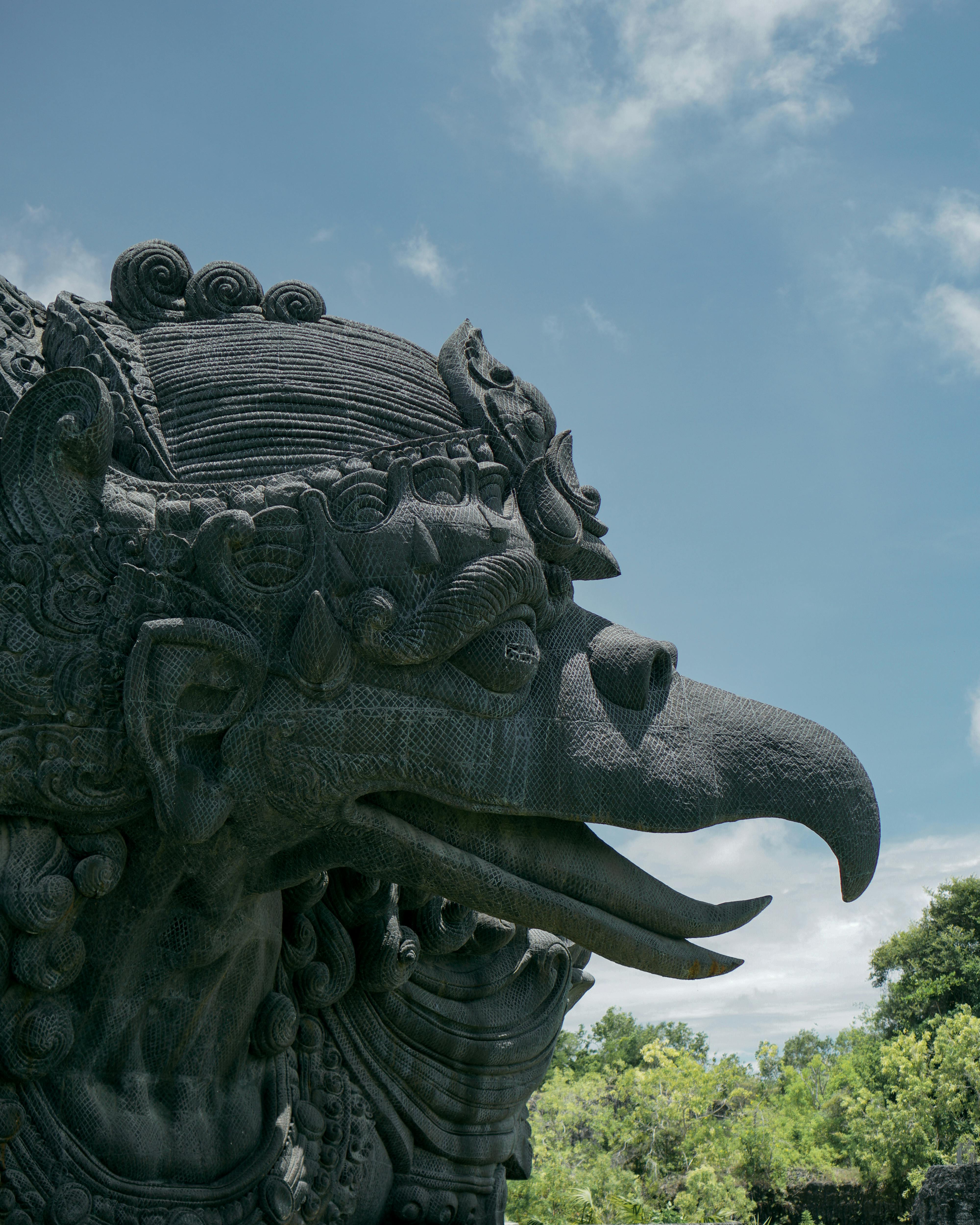 Garuda Bird Photos, Download The BEST Free Garuda Bird Stock Photos ...