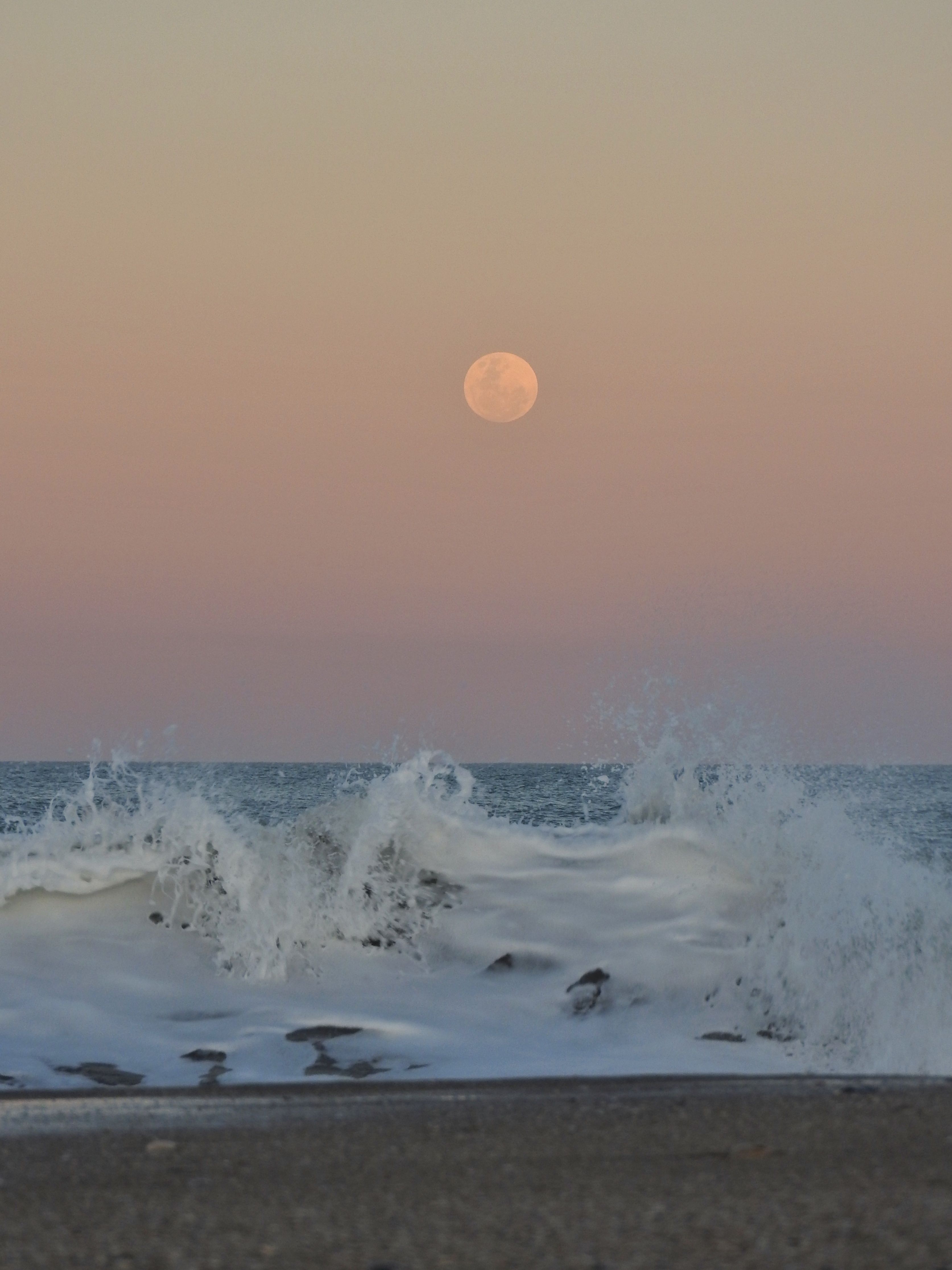 January Moon Photos, Download Free January Moon Stock Photos & HD Images