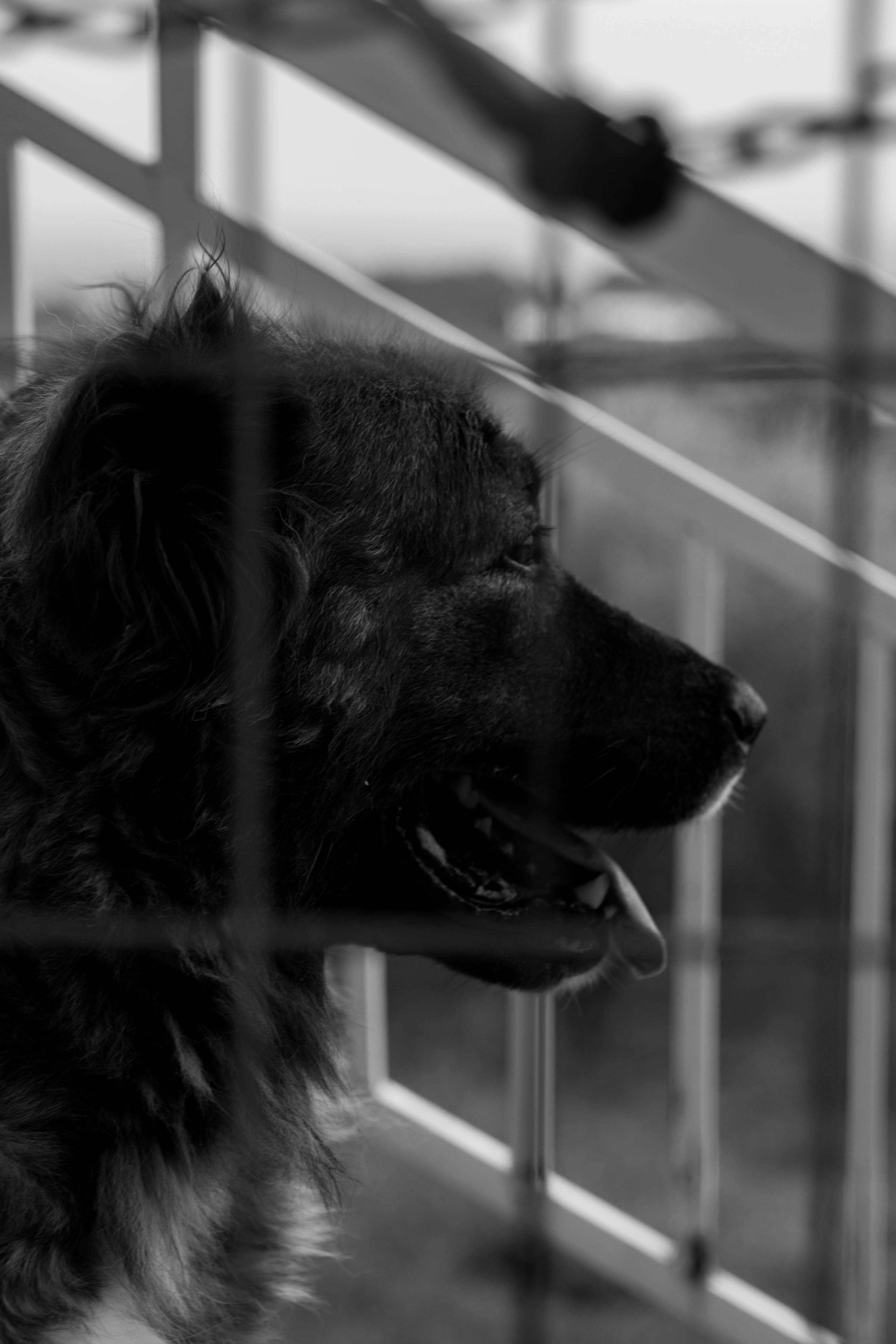 Polykarpos Tiftikoglou - Photography