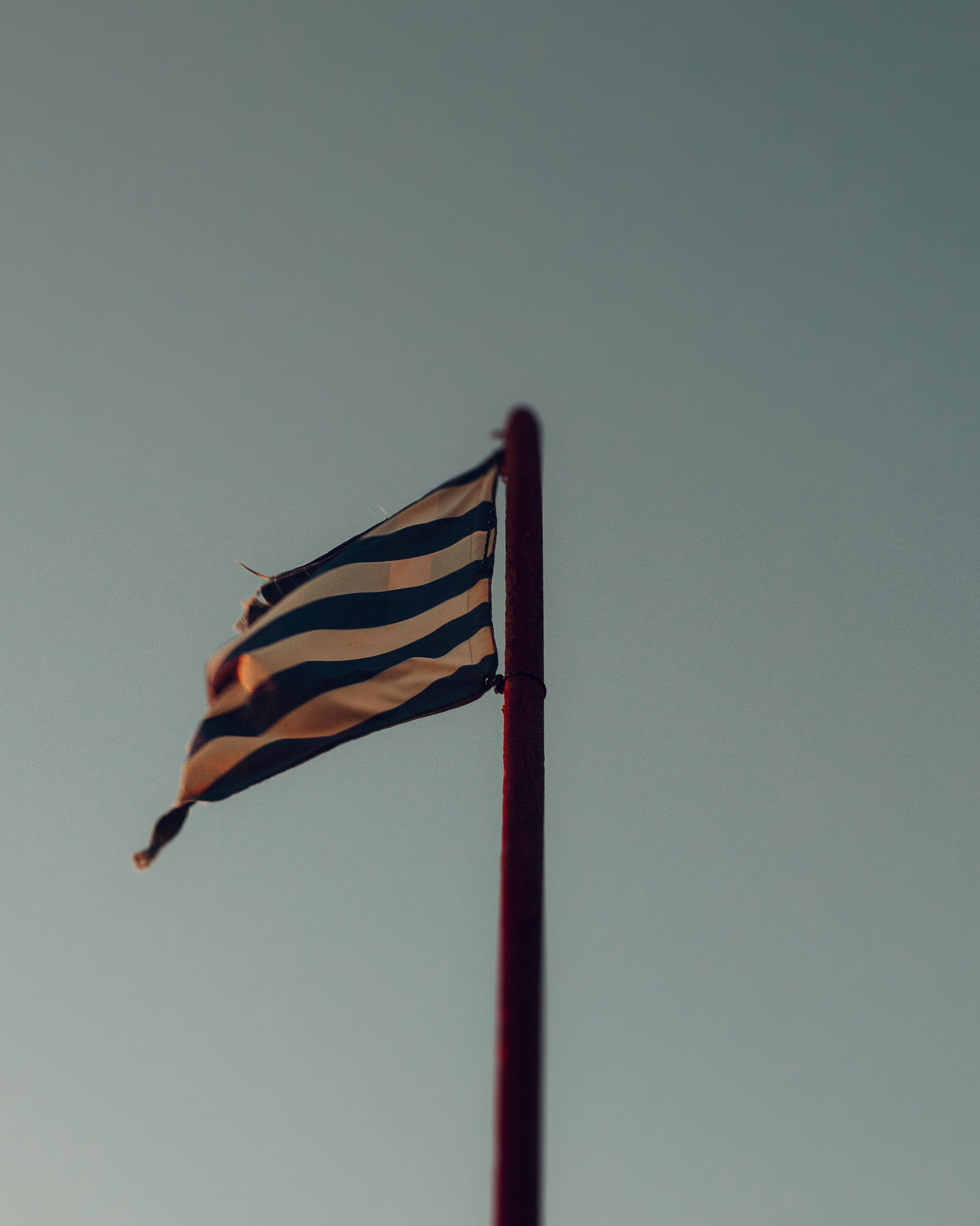 Flag of Turkey on Pole · Free Stock Photo