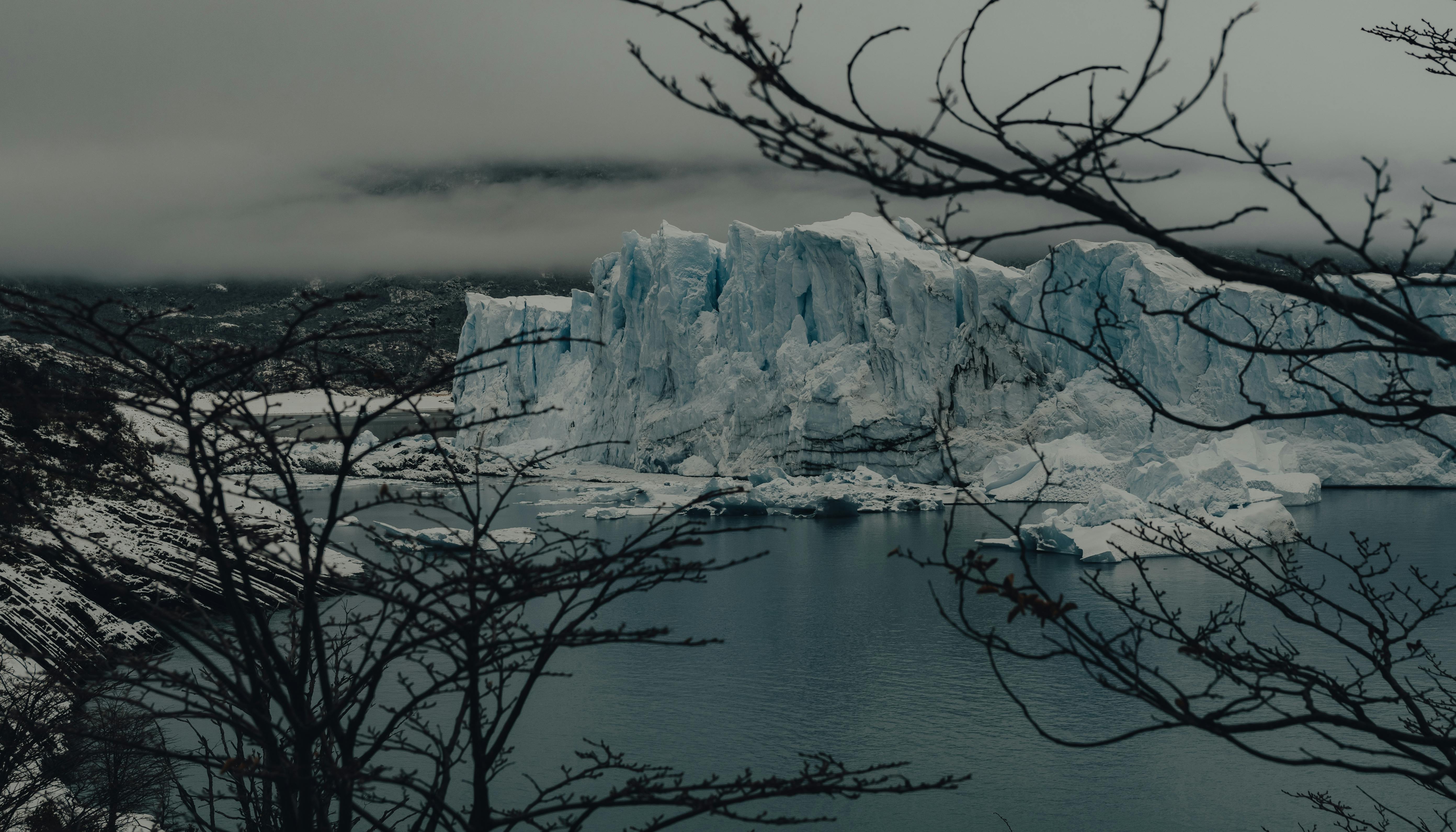 Trees by an Iceberg · Free Stock Photo