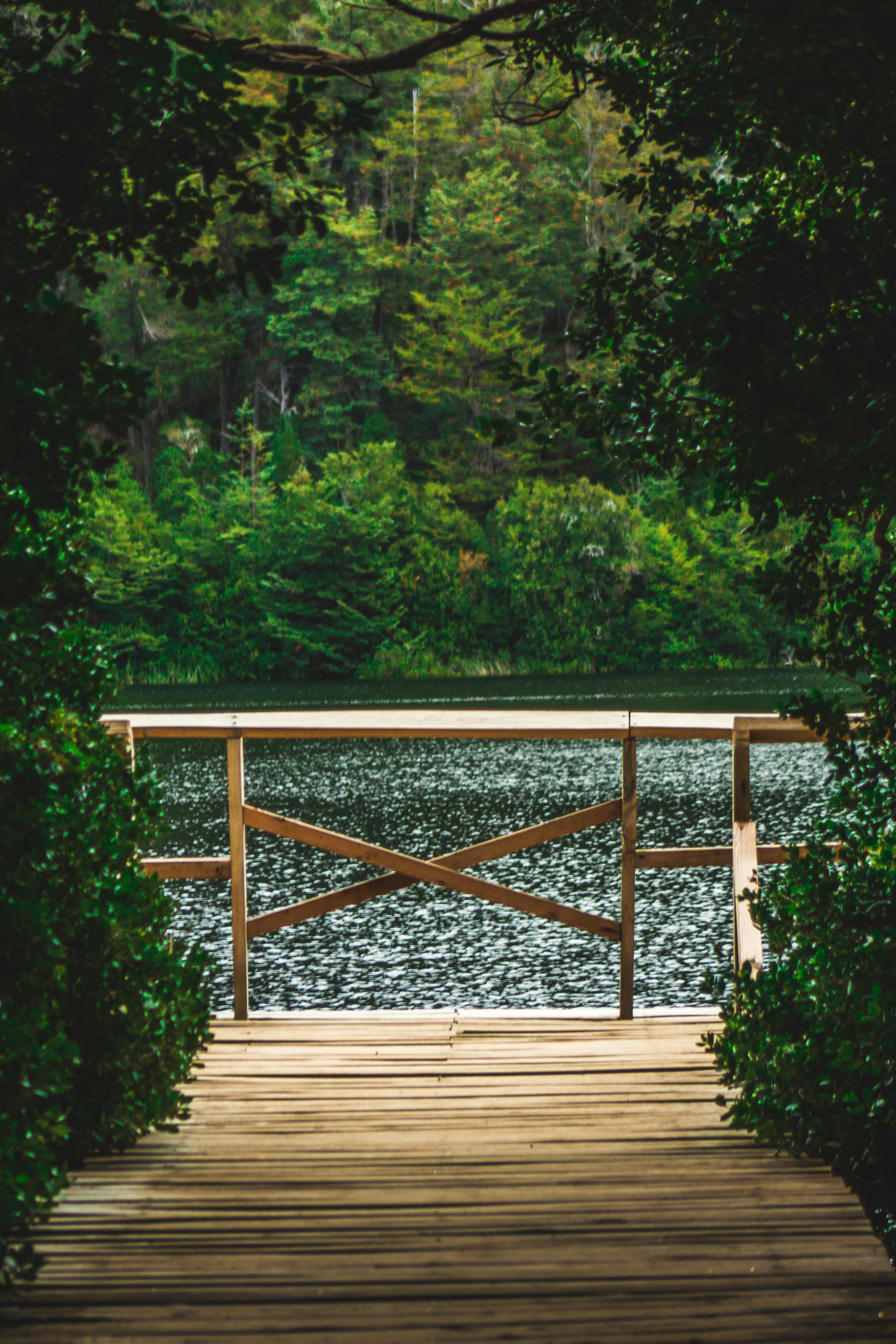 Wooden Viewing Deck Beside the Lake · Free Stock Photo