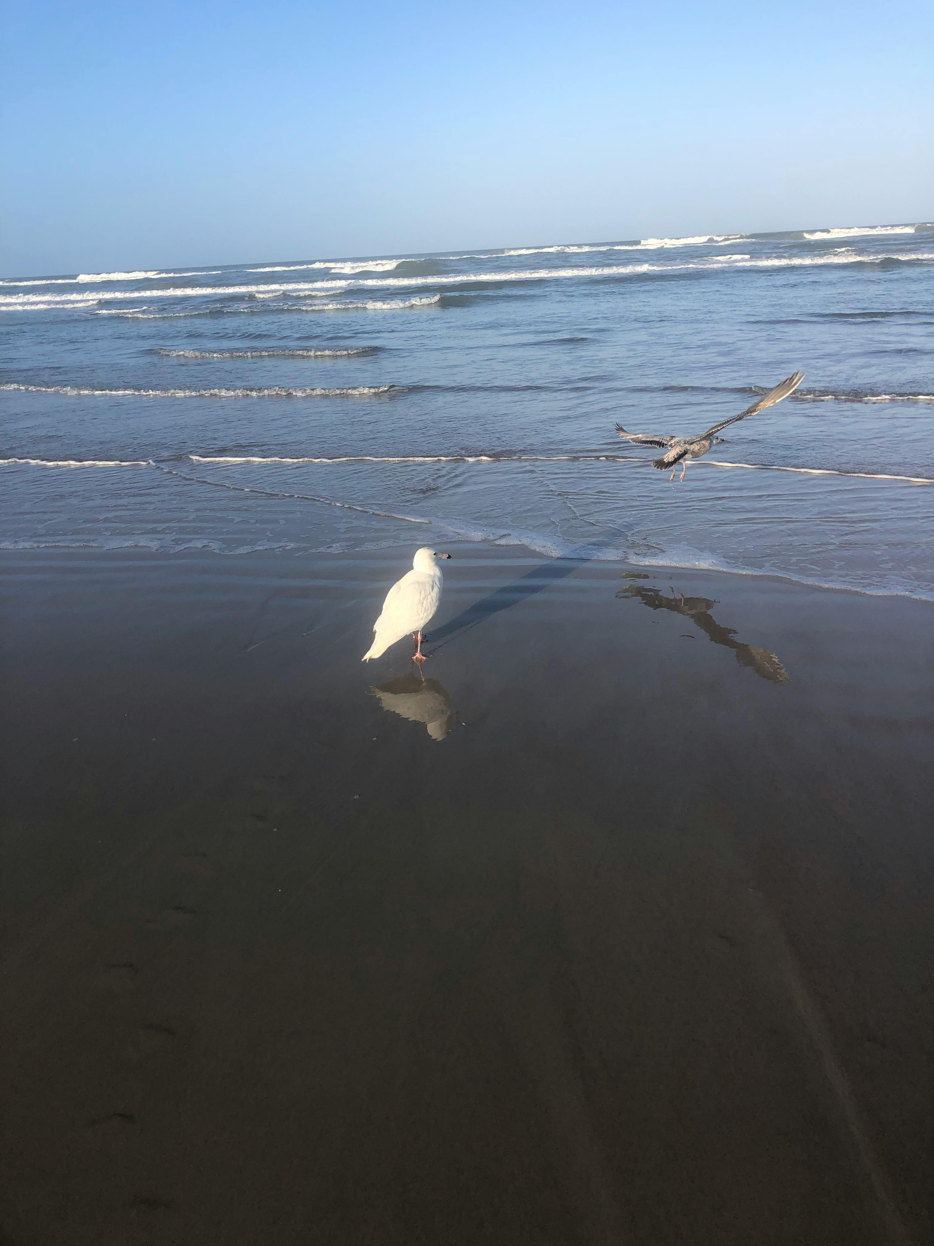 M Samir Kayal - 攝影