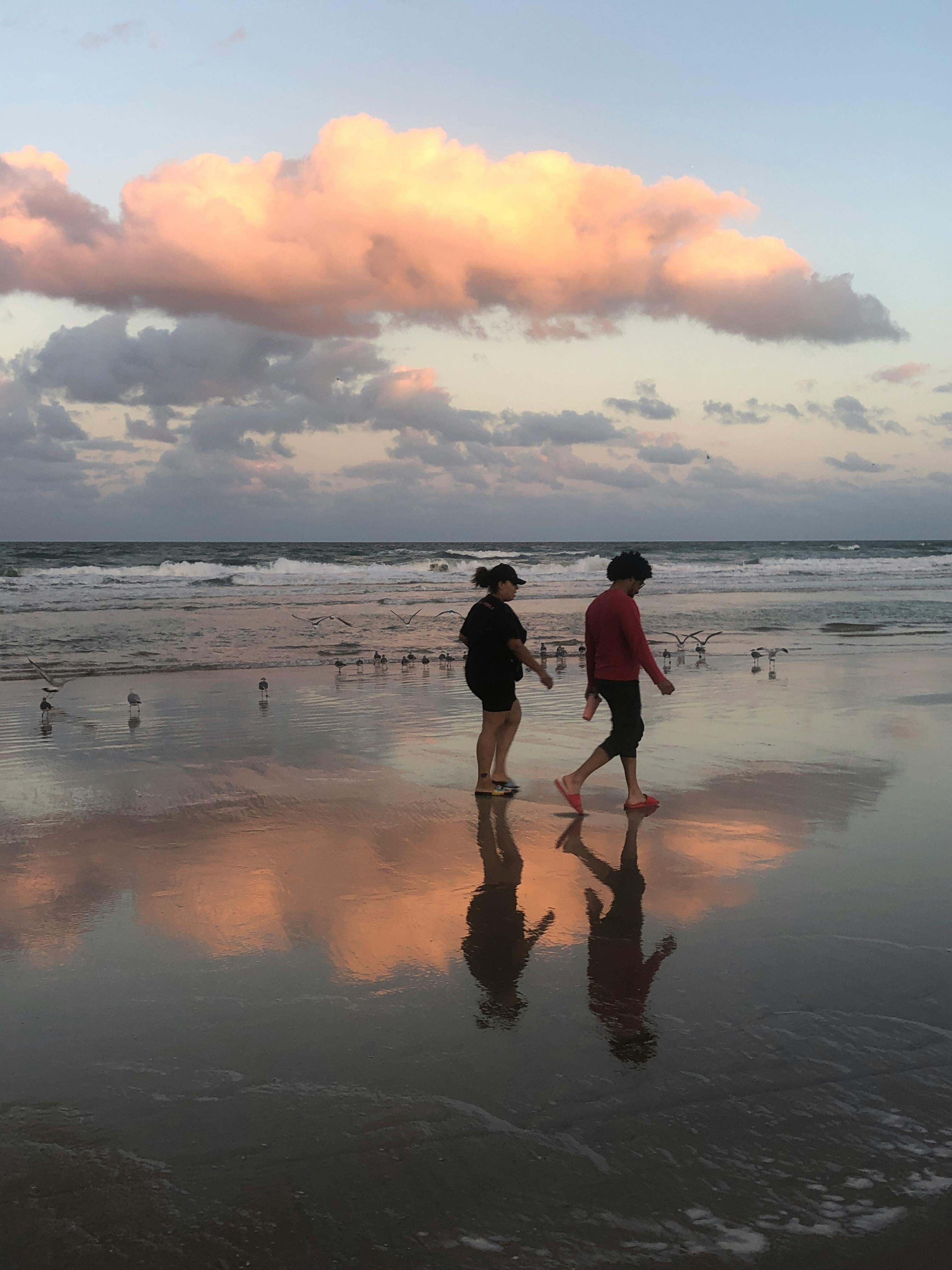 M Samir Kayal - 攝影