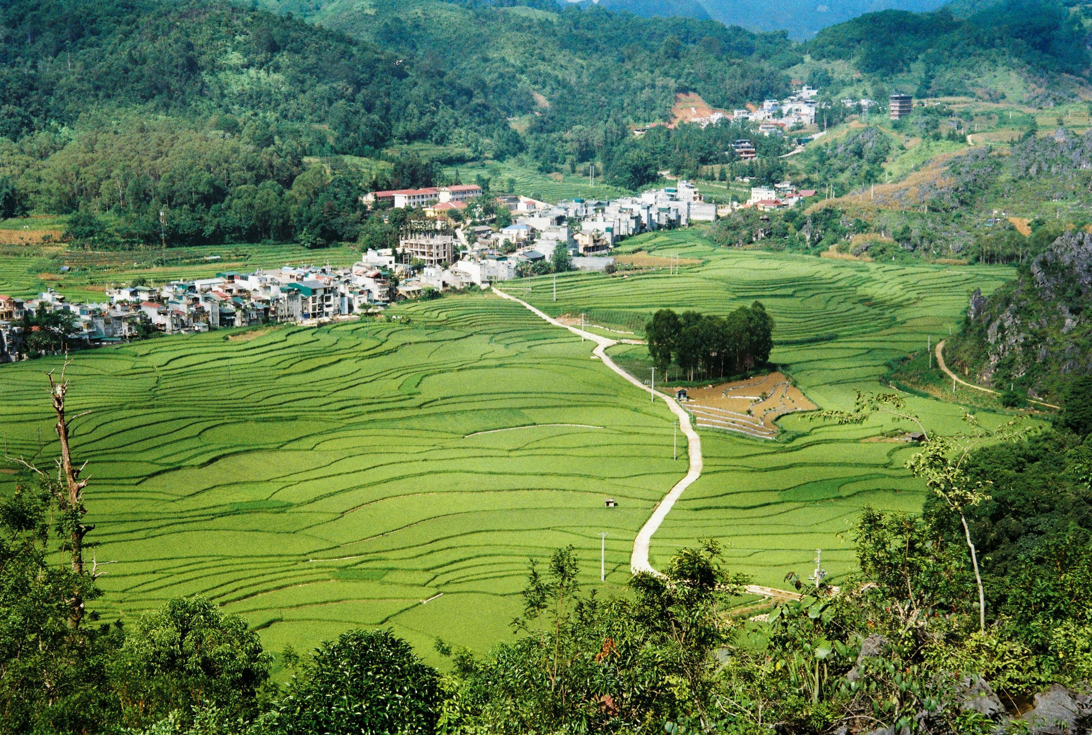 Aerial View of Cropland · Free Stock Photo
