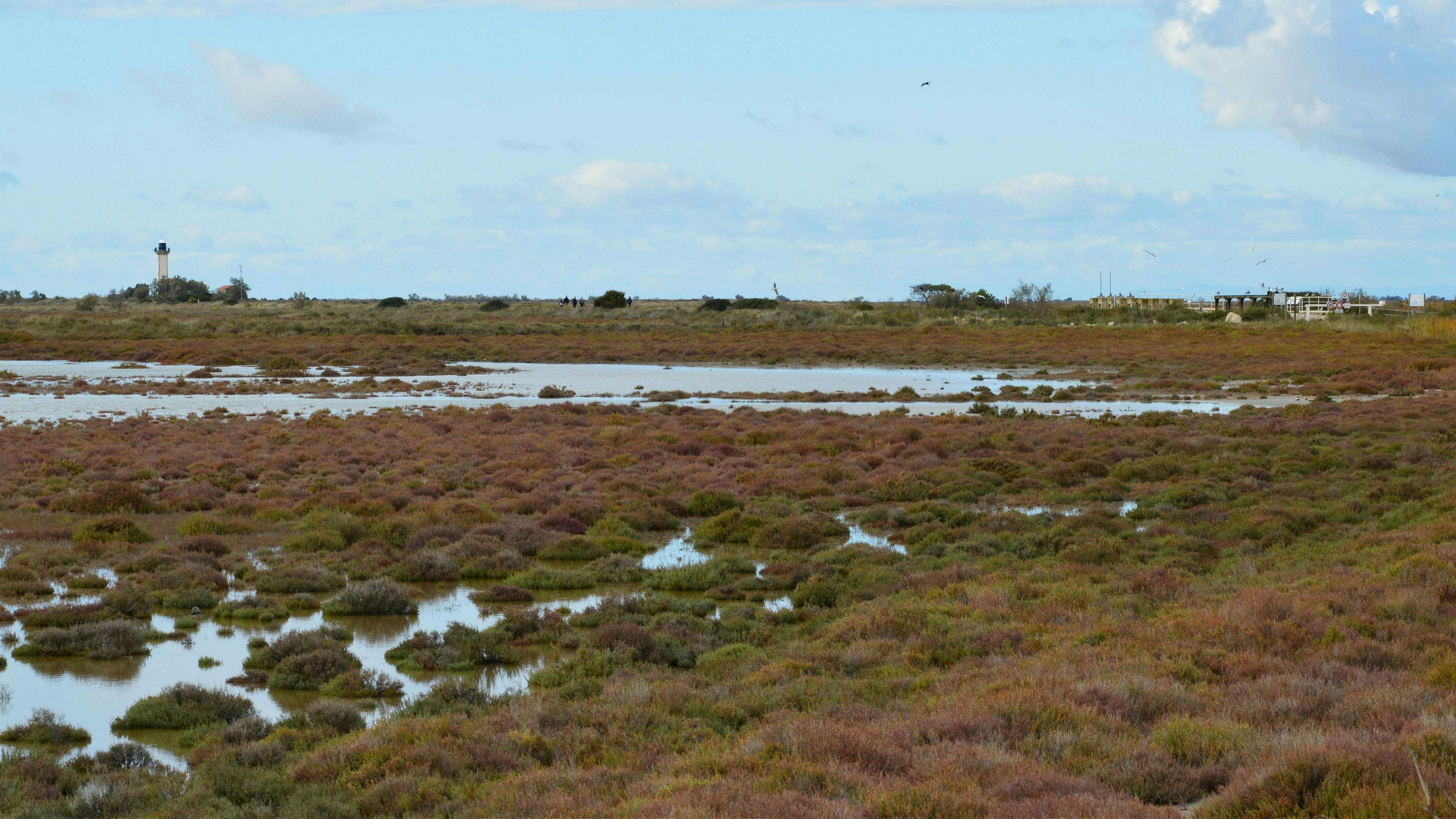 Open Plains Photos, Download The BEST Free Open Plains Stock Photos ...