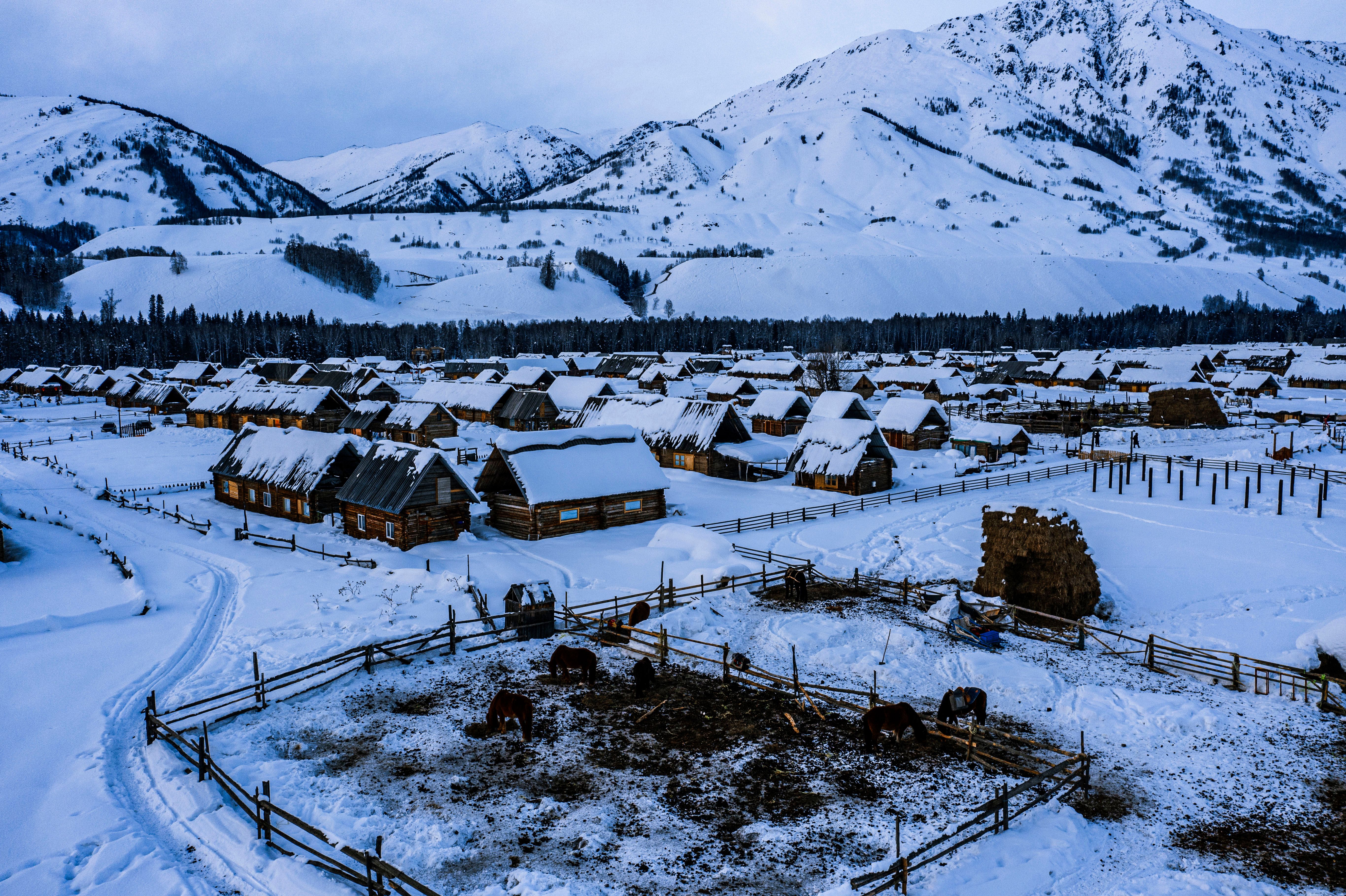 Snow Covered Houses Beside the Mountain · Free Stock Photo