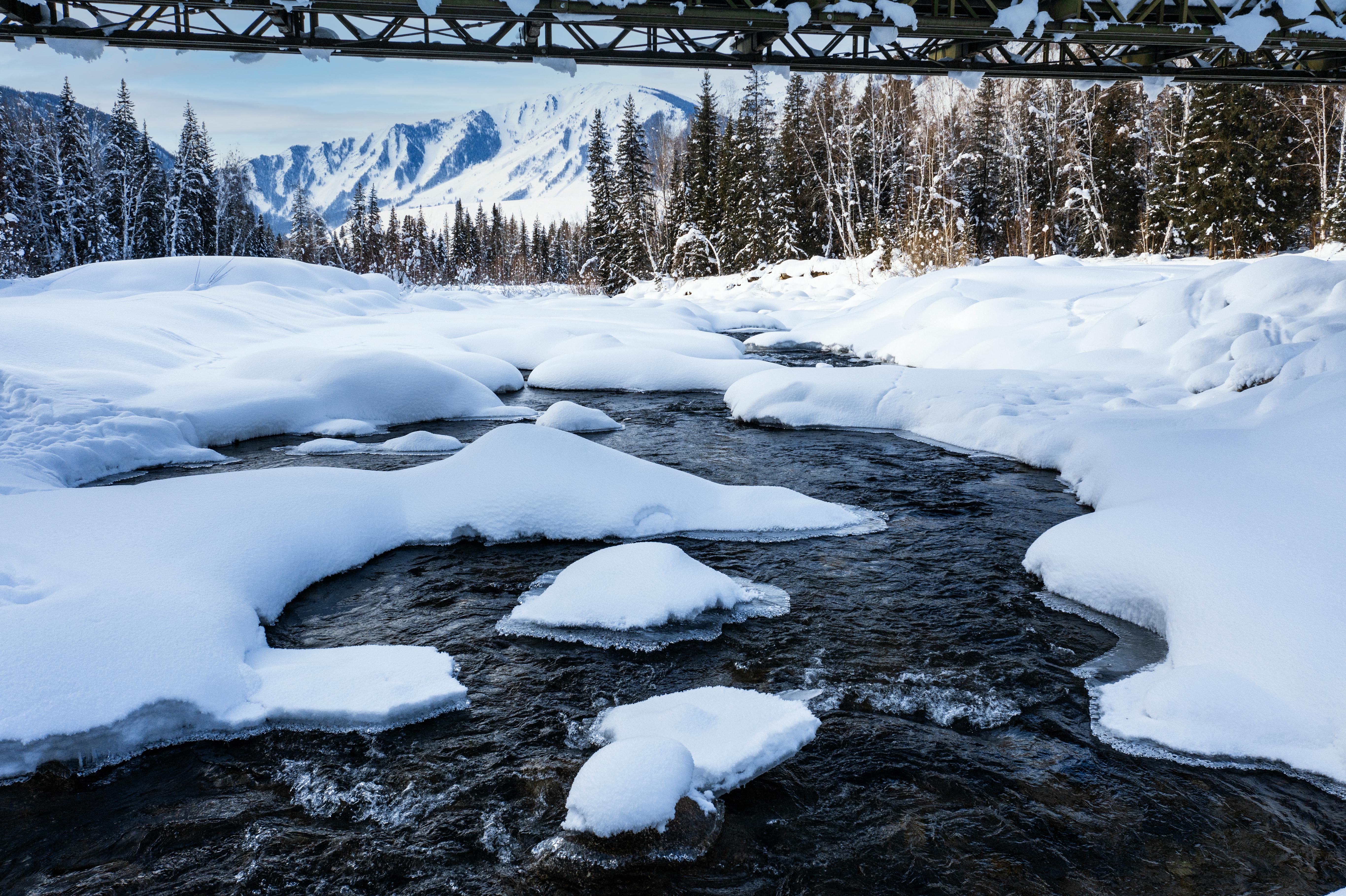 Photo of a River in Winter · Free Stock Photo