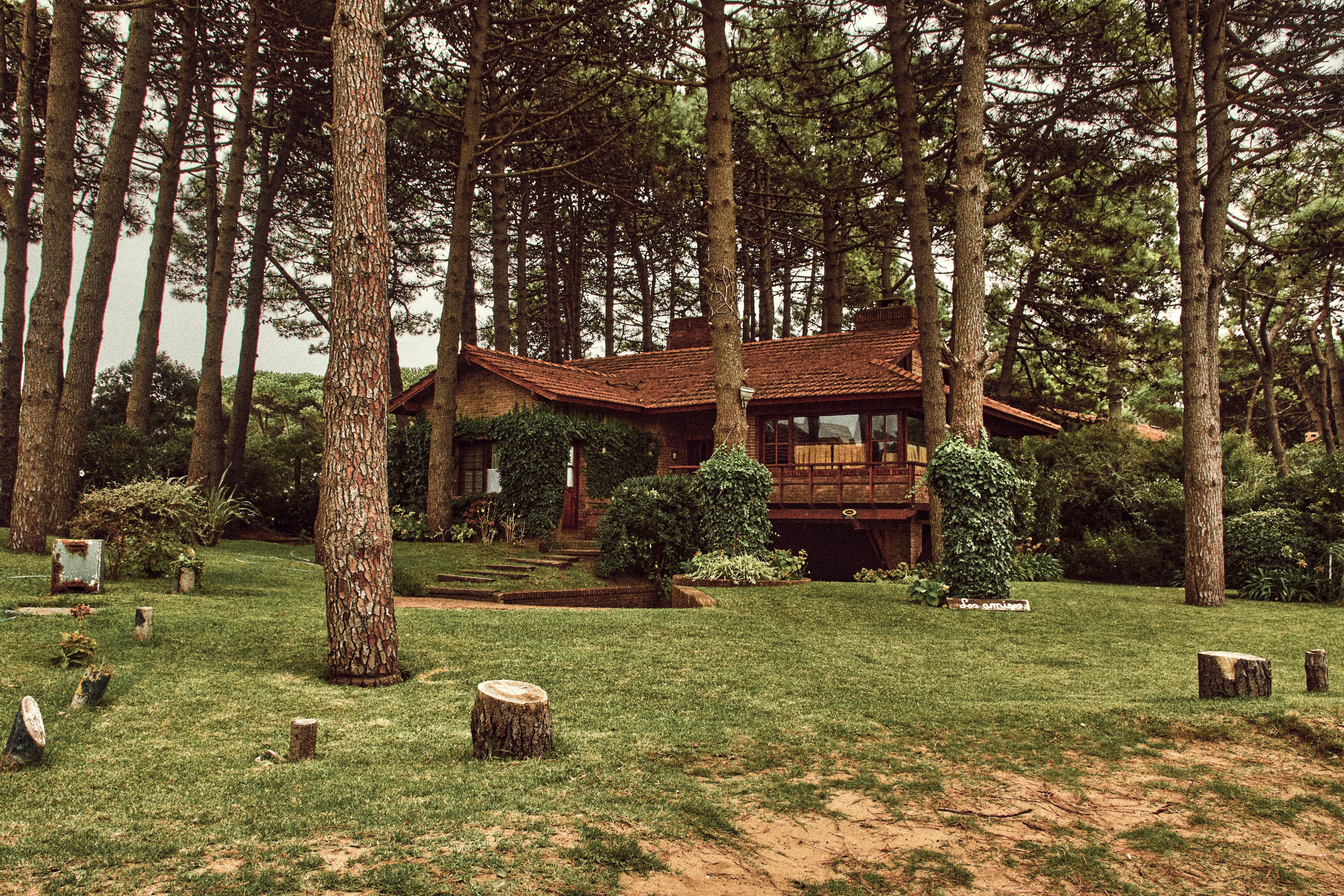 Roy Cano - Photography