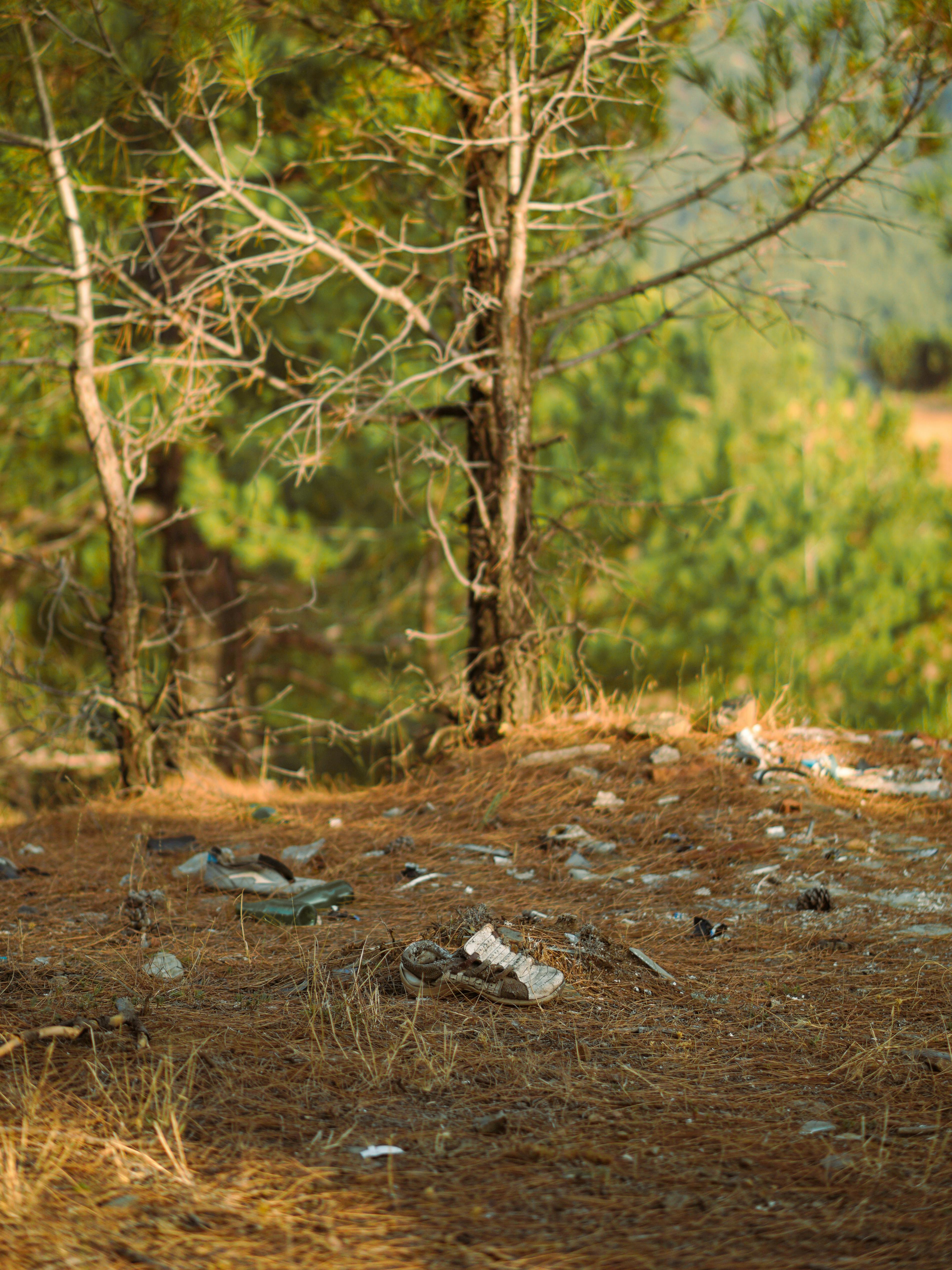 Trash Lying on Ground in Forest · Free Stock Photo