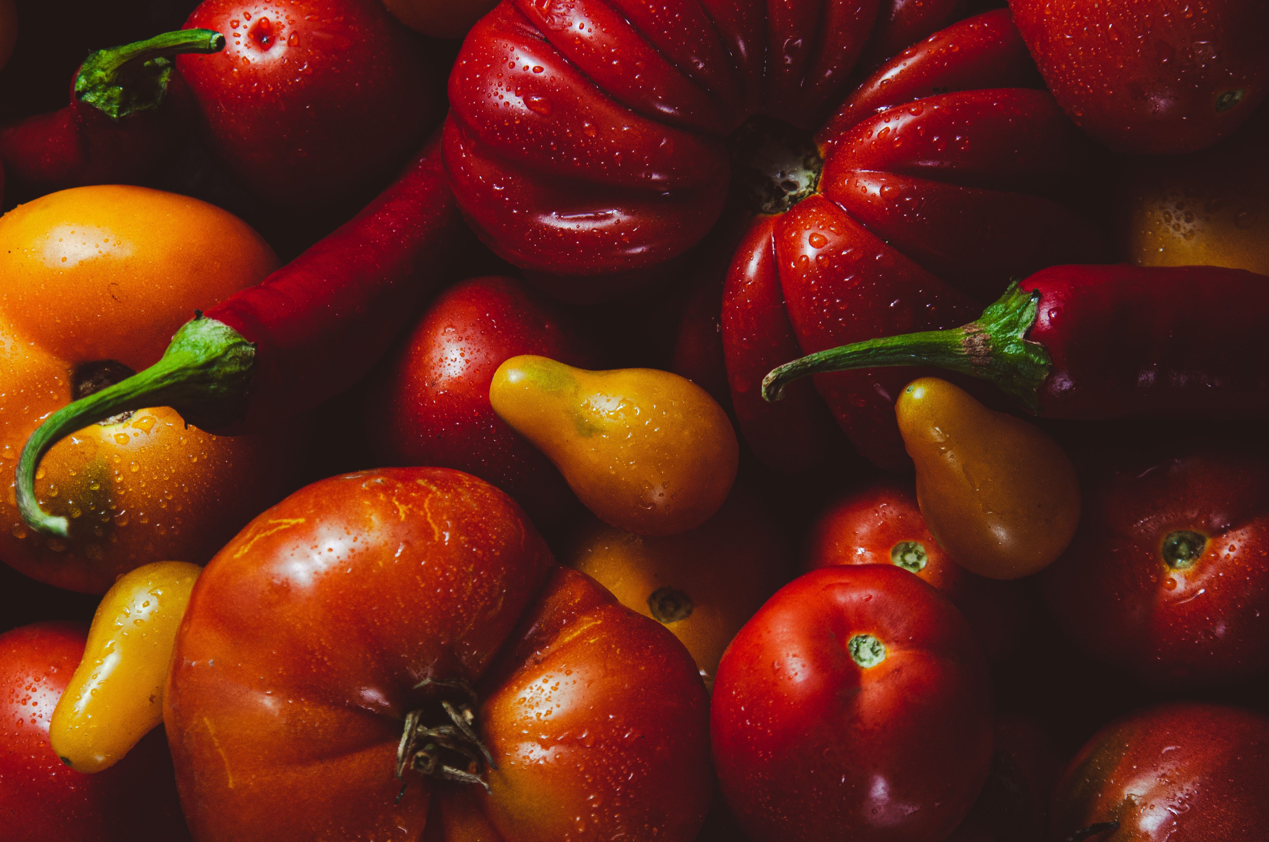 Fotografía Plana De Una Variedad De Verduras · Foto de stock gratuita