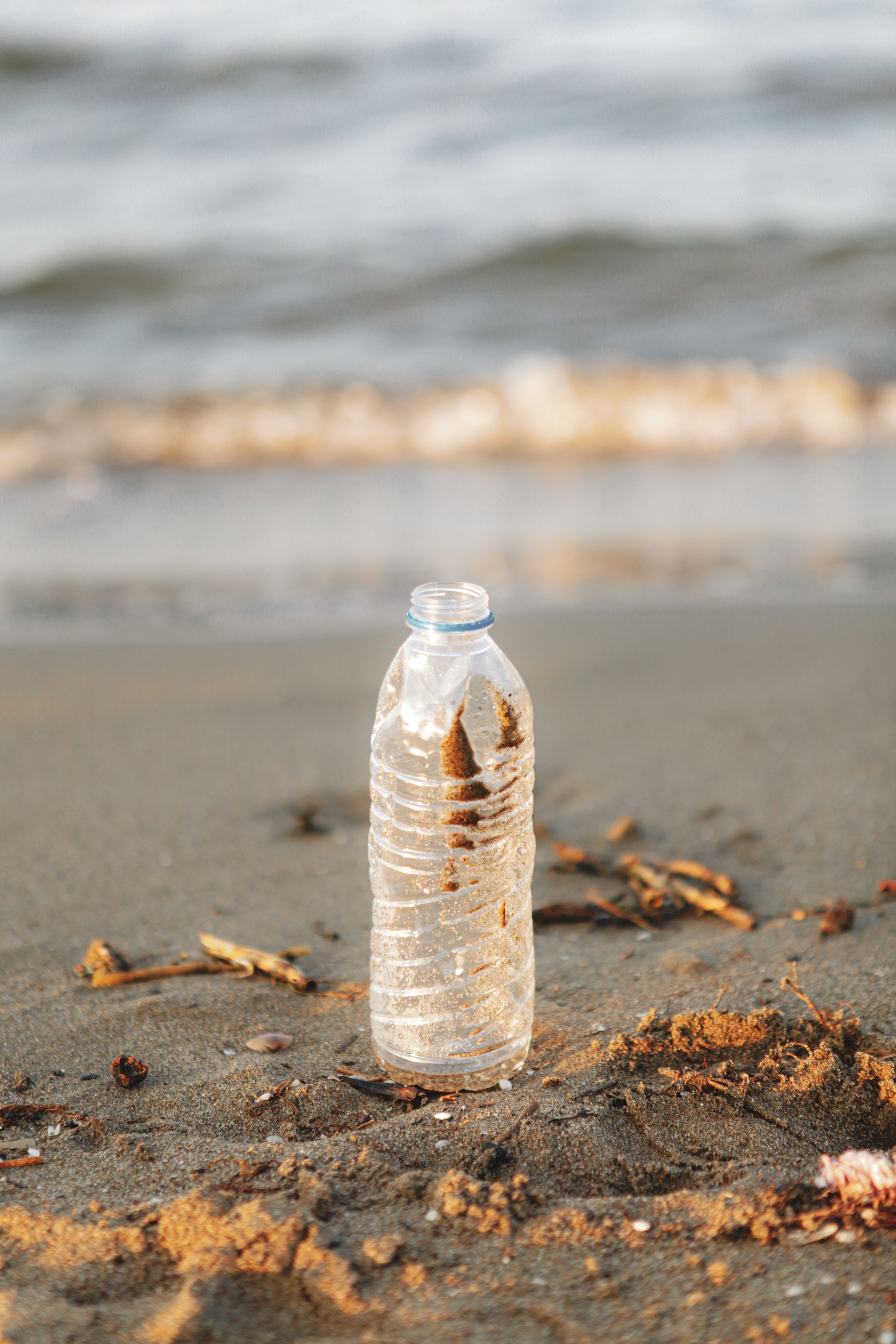 Women Recycling Plastic Bottles · Free Stock Photo