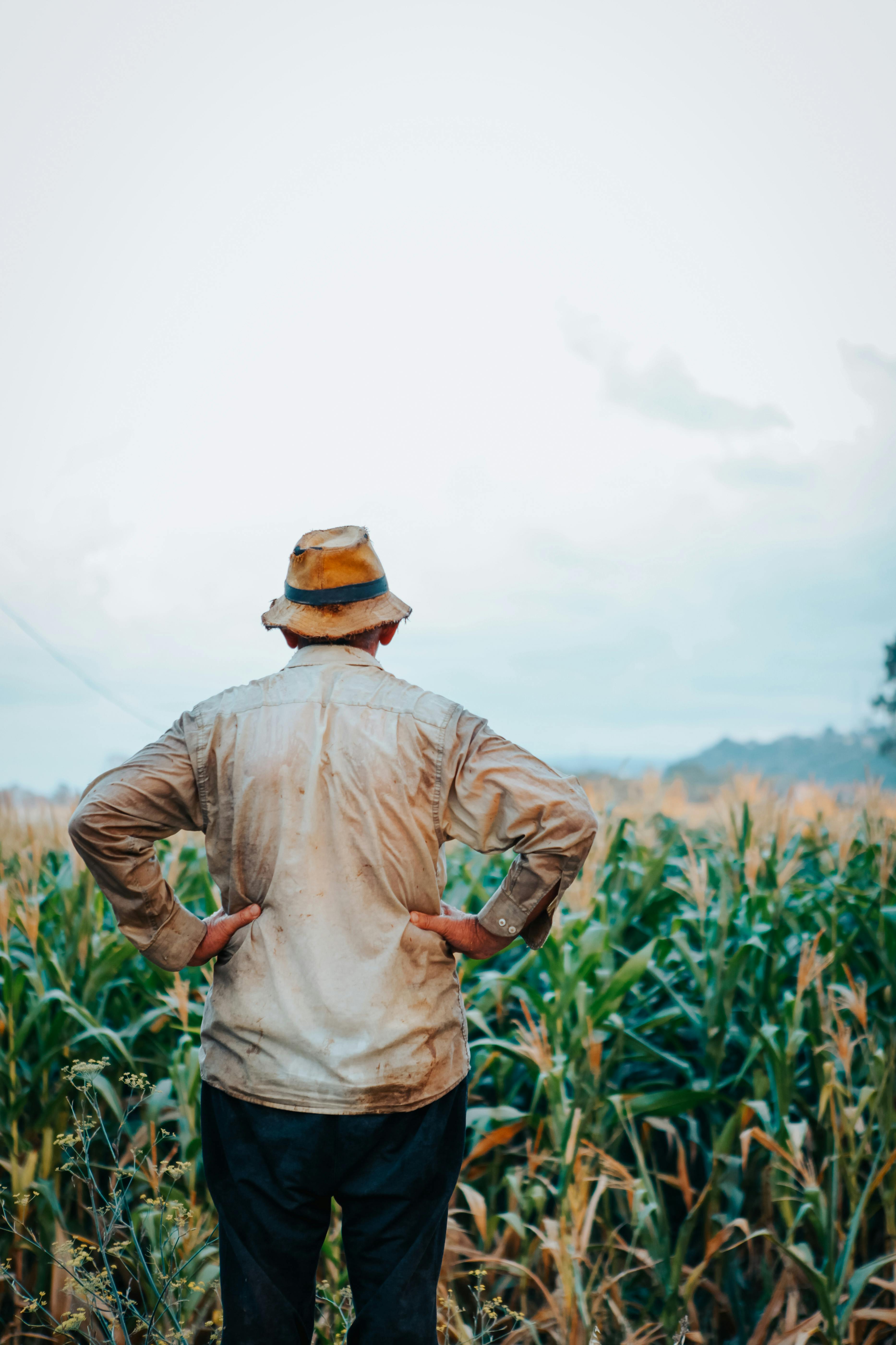 Audit Farm Photos, Download Free Audit Farm Stock Photos & HD Images