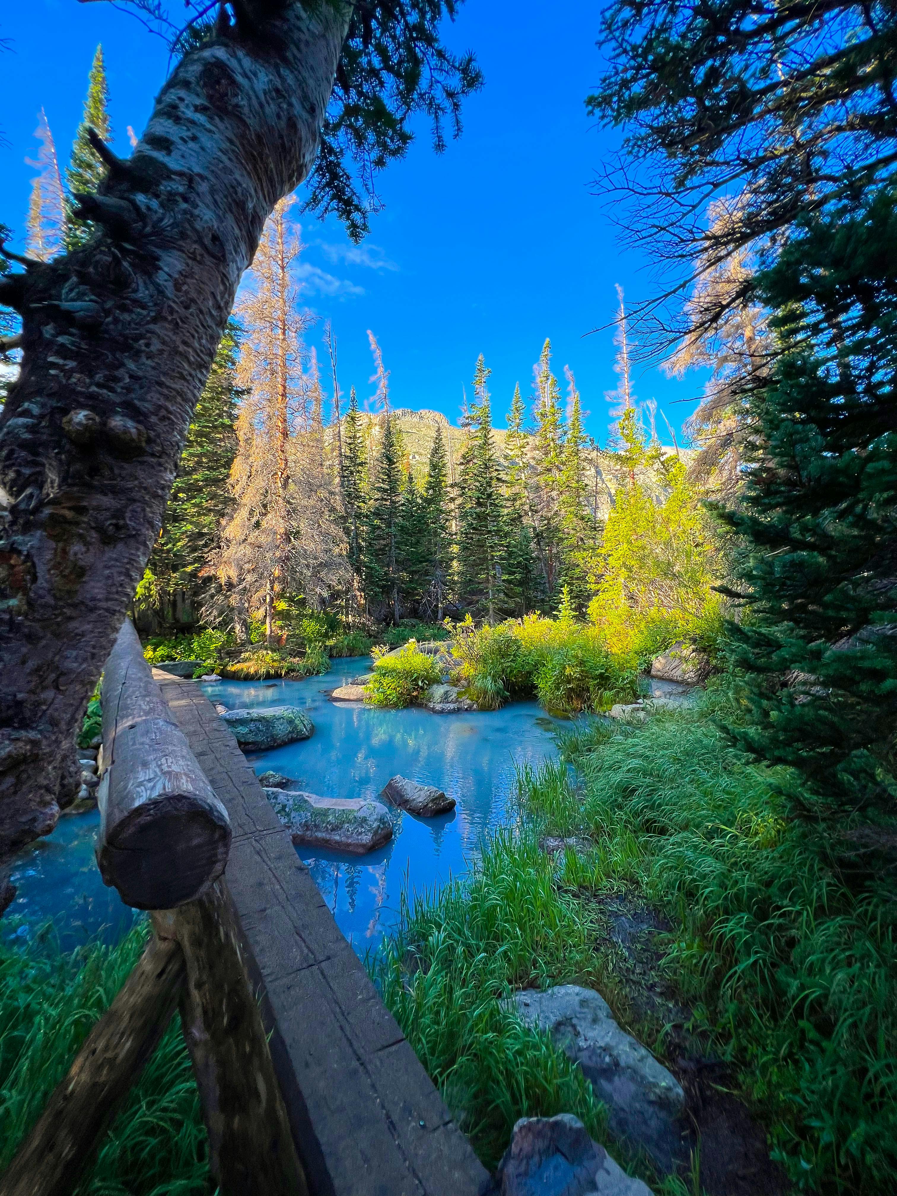 Scenic Landscape with a River · Free Stock Photo