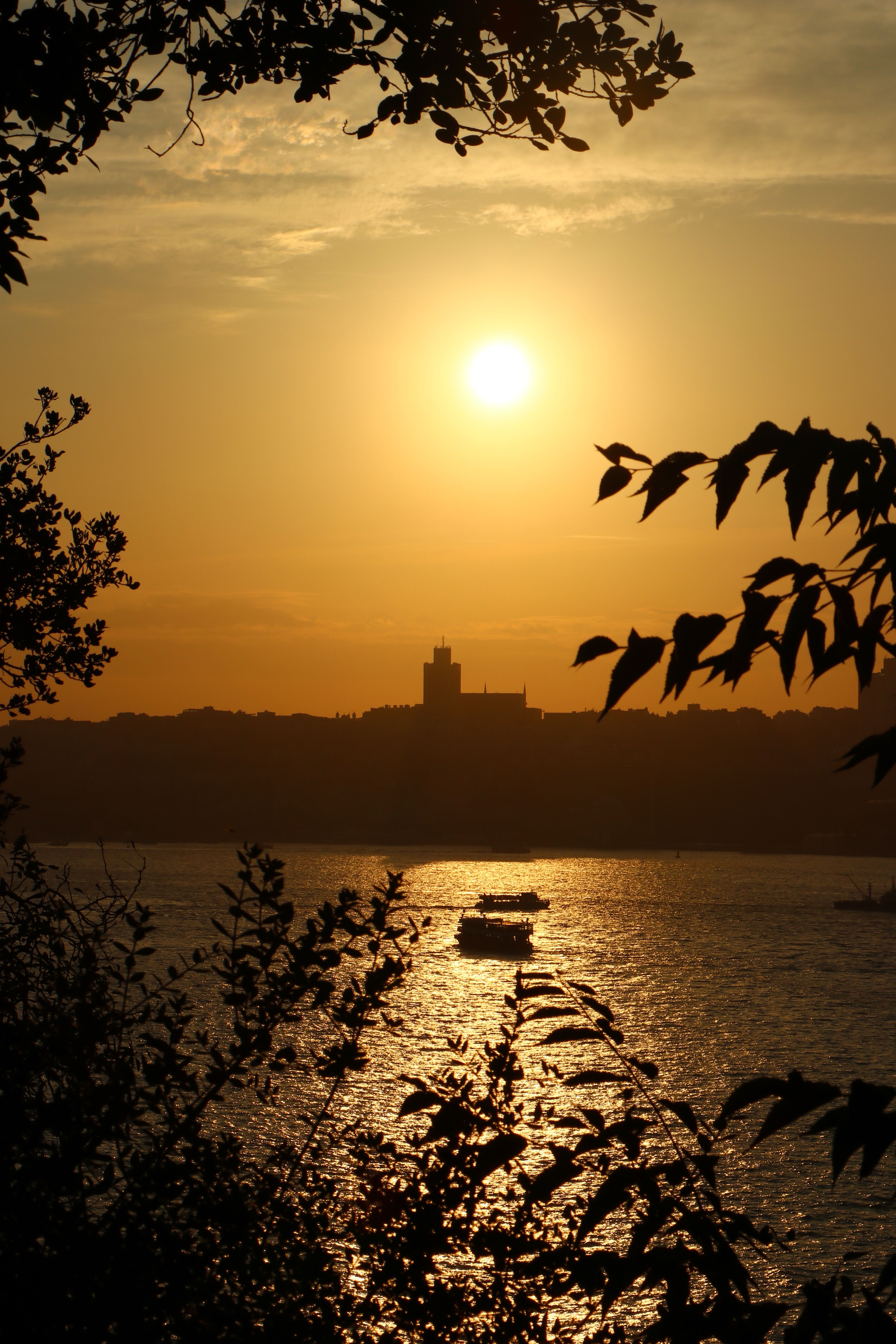 Skyline at Sunset · Free Stock Photo