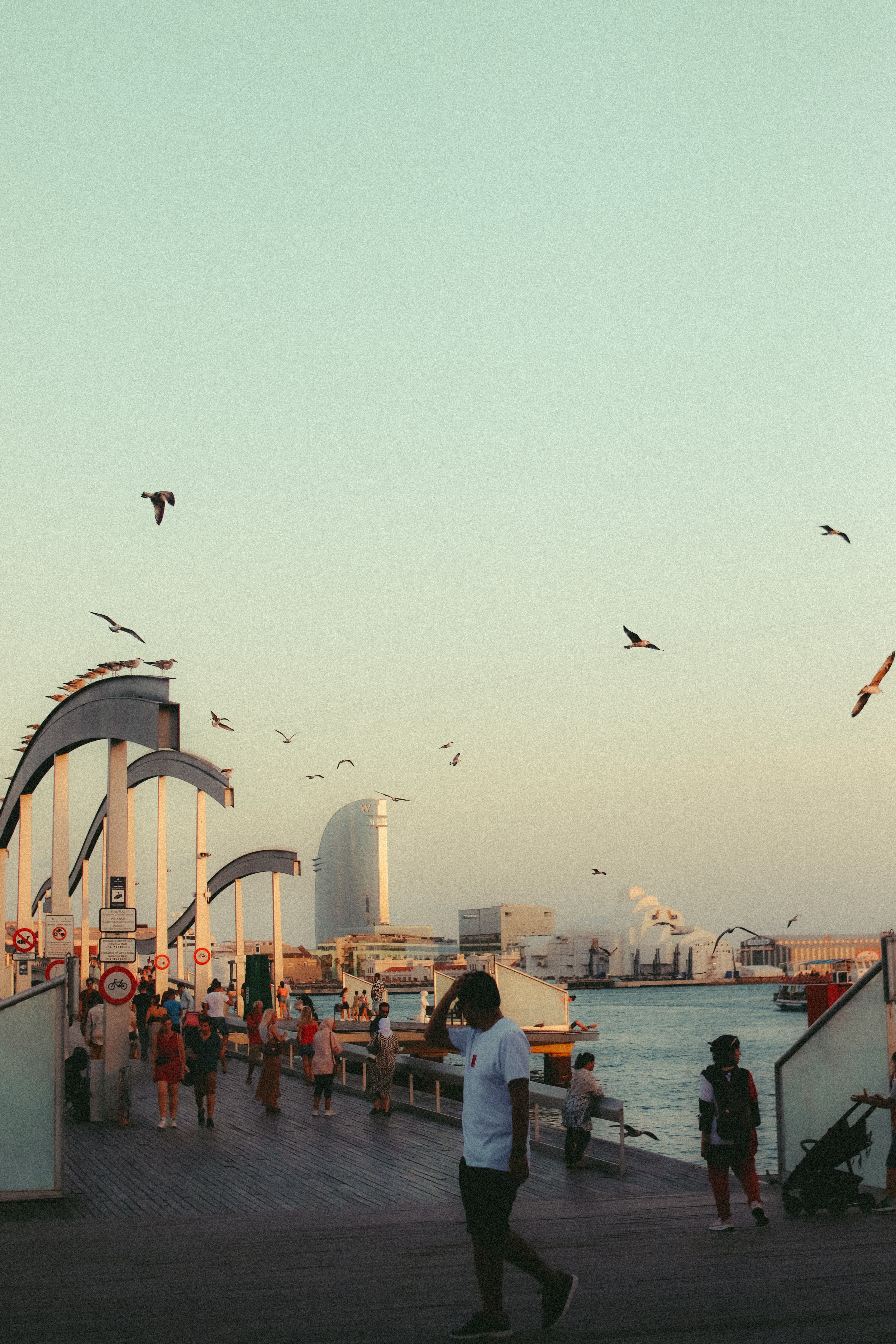 People Walking on Dock With Birds Flying over the Water · Free Stock Photo