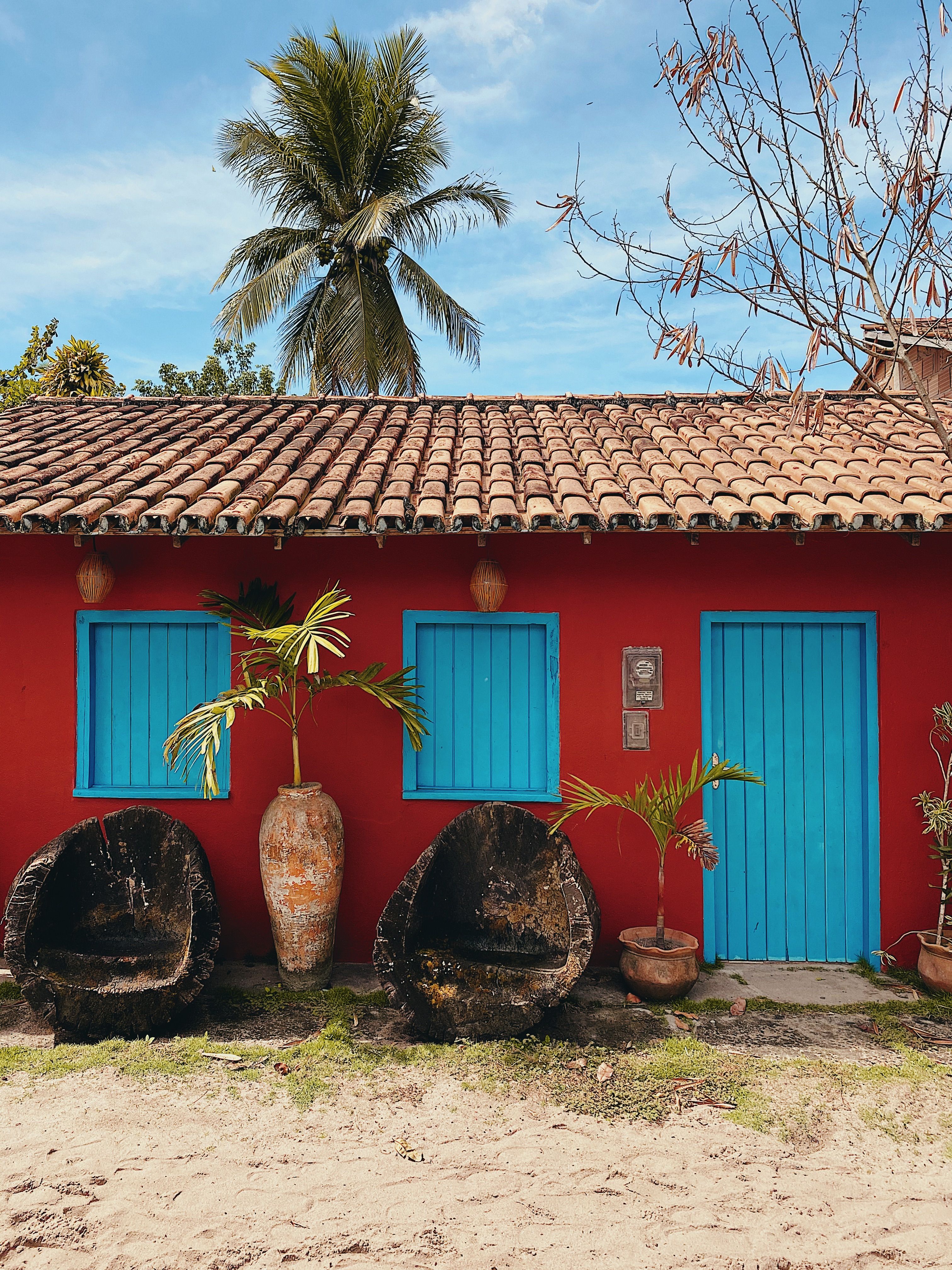 Red and Blue Wooden House Near Palm Tree · Free Stock Photo
