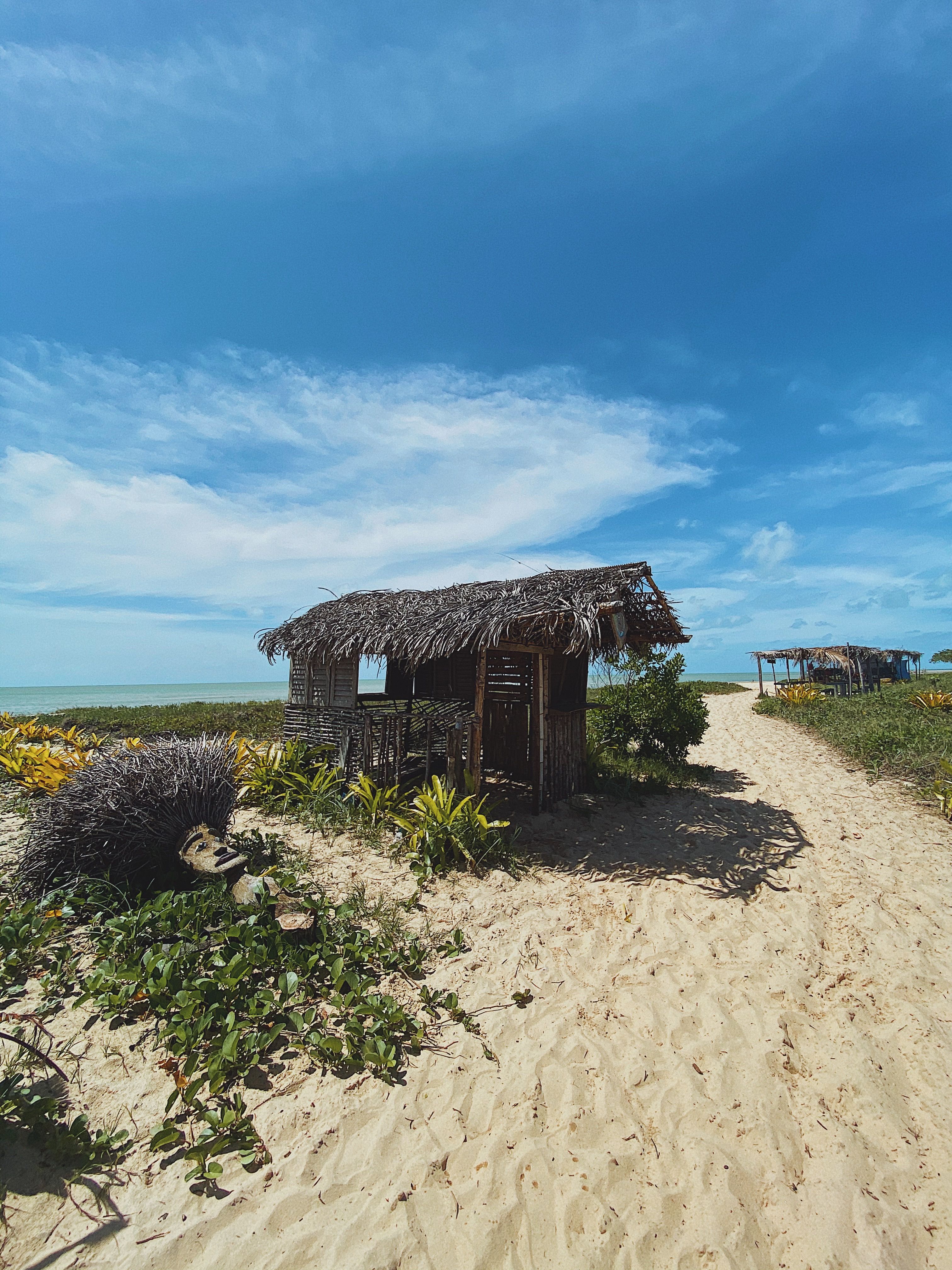 Nipa Hut on the Shore · Free Stock Photo