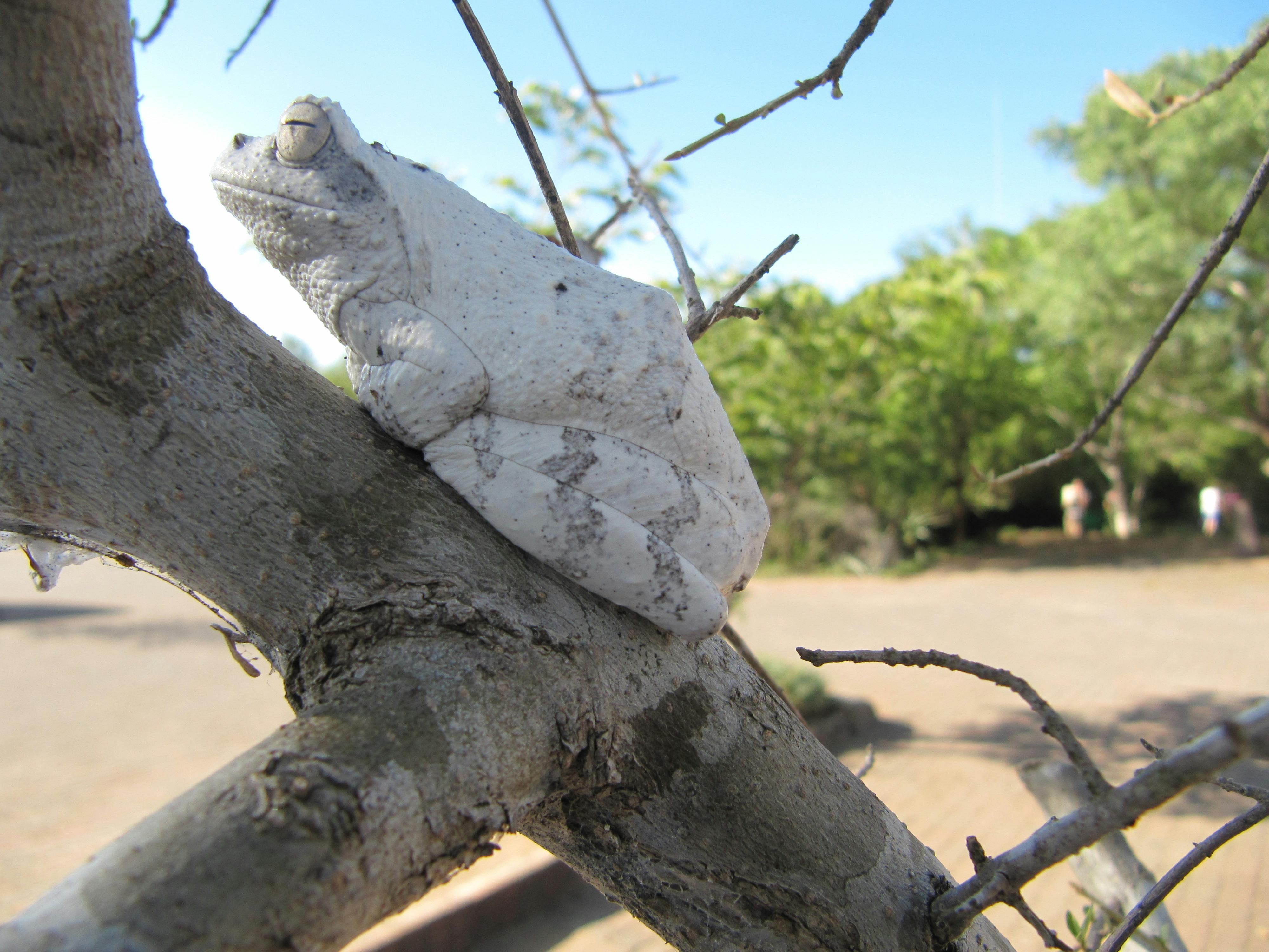 Kyle Lusted - 摄影